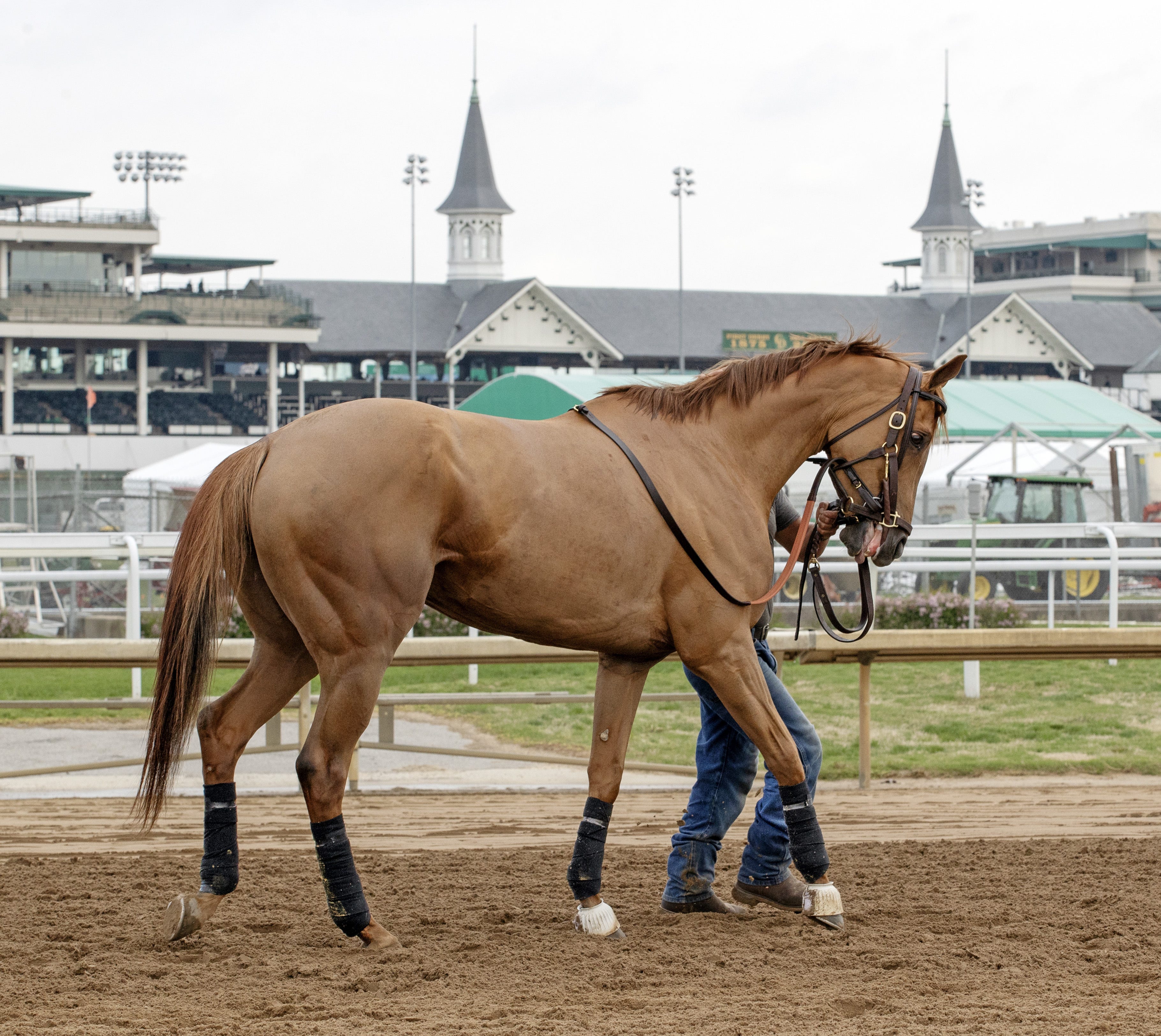 She Feels Pretty has plenty to brag about in Modesty