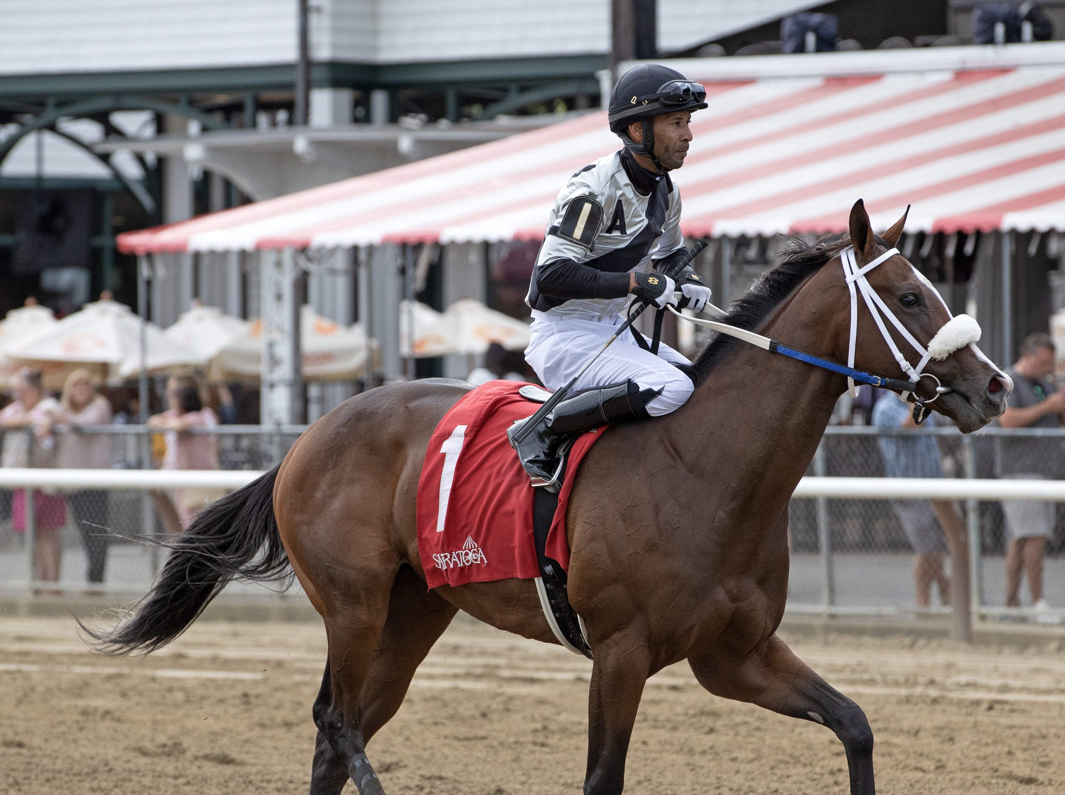 She's Our Tiz makes 3-year-old debut after lengthy layoff