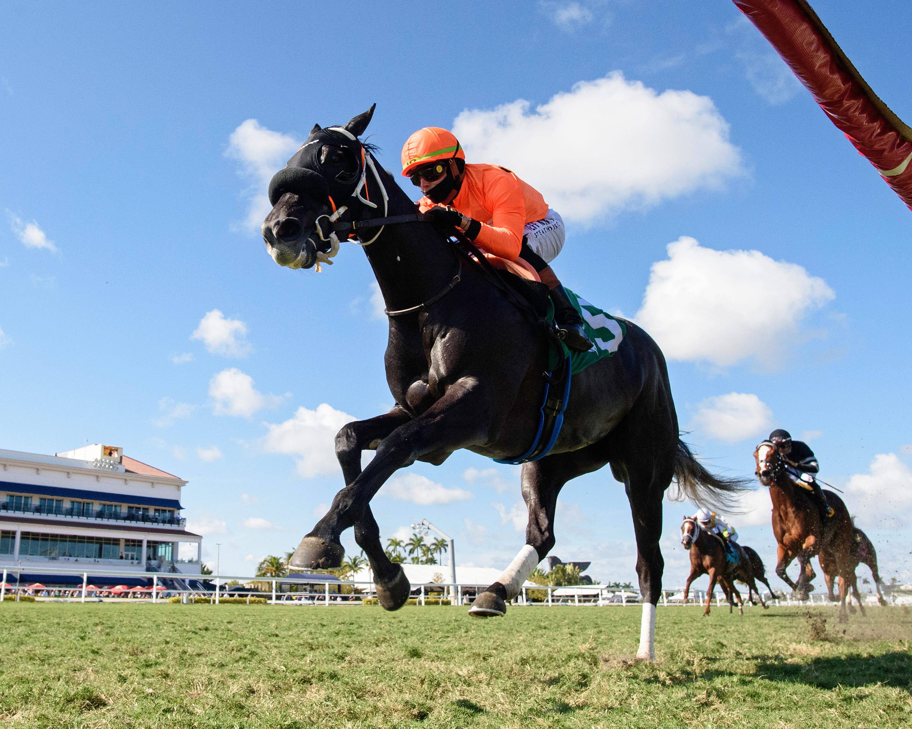 Stewart looking for first win at home track in Limestone