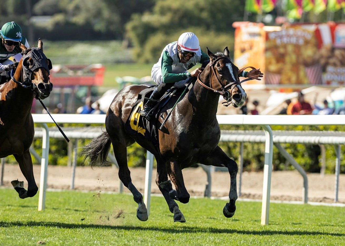 Weekend GamePlan: Picks for Paradise Creek, Cliff Hanger, Snow Chief