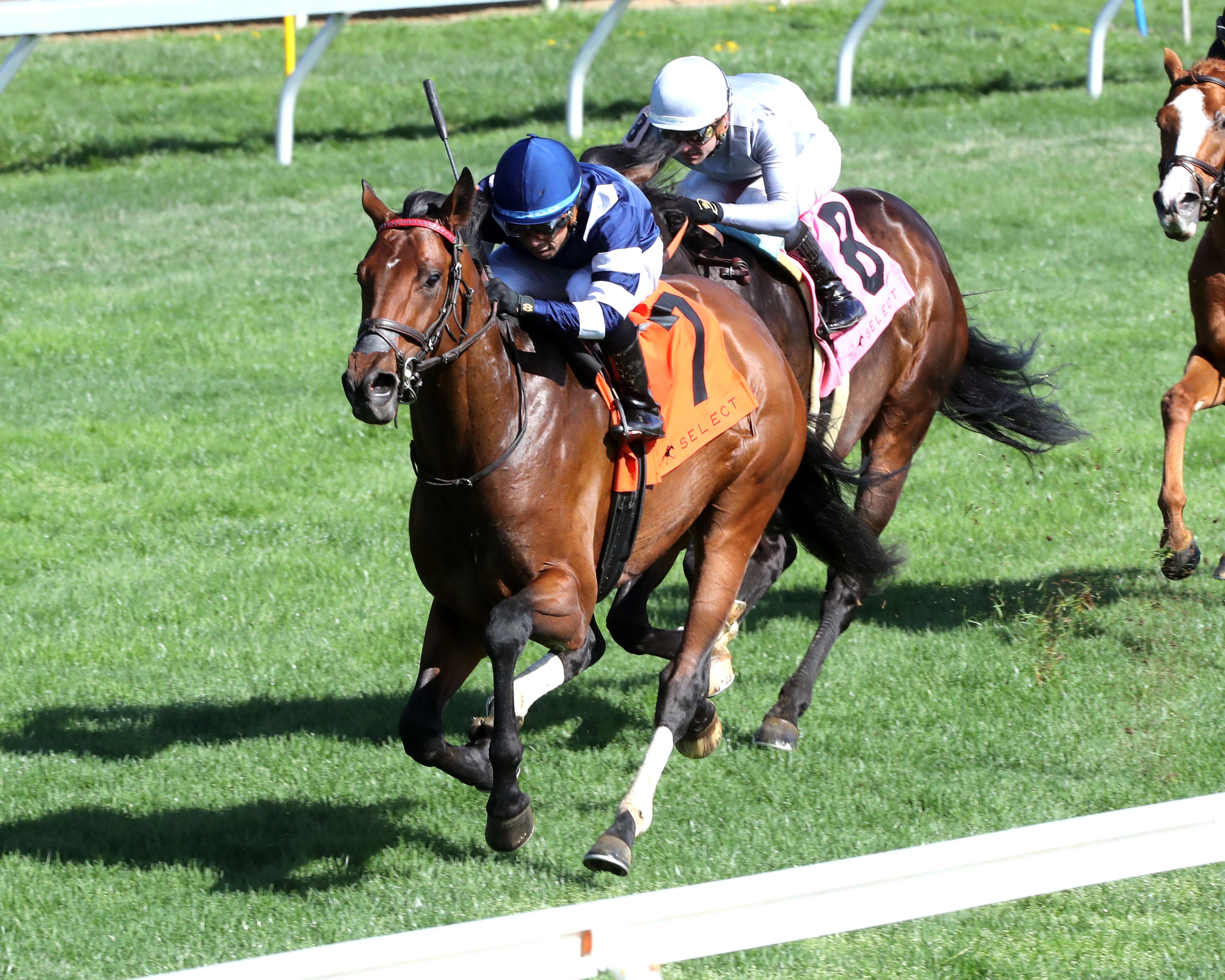 Test Score secures first stakes win after great trip in Transylvania Stakes