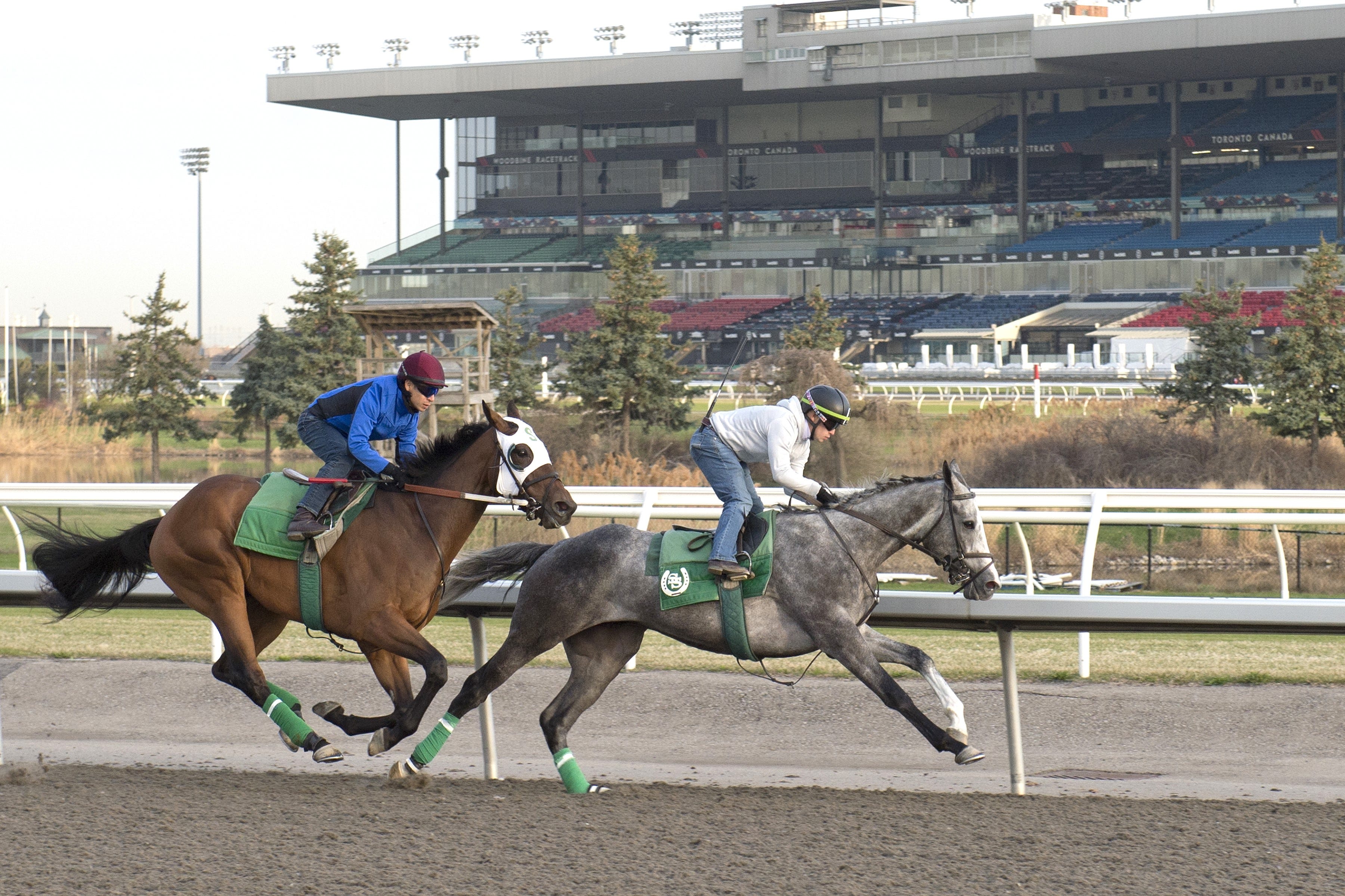 Woodbine begins 128-date season; main turf to be renovated