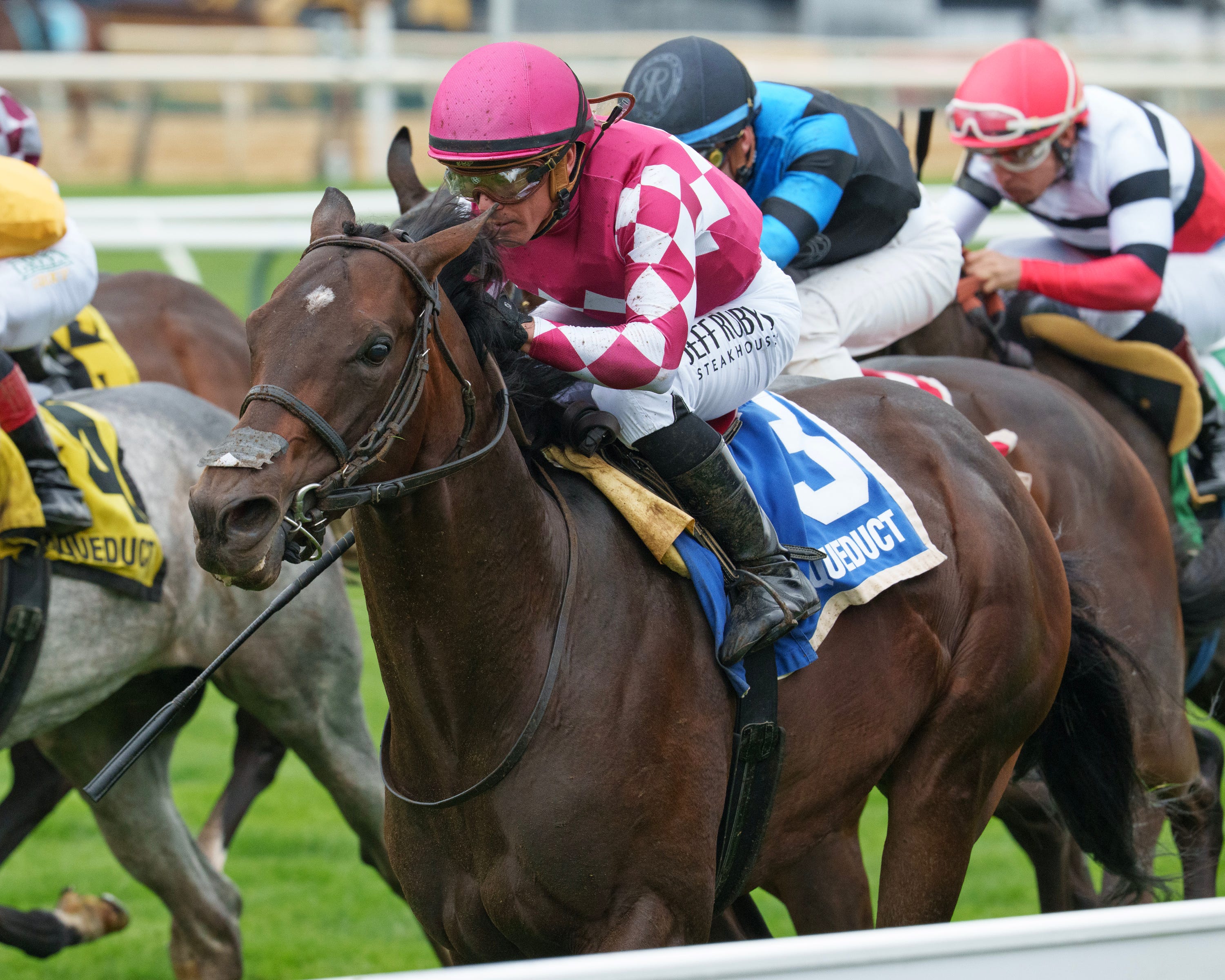 Dream On gets perfect ride by Castellano to take Woodhaven