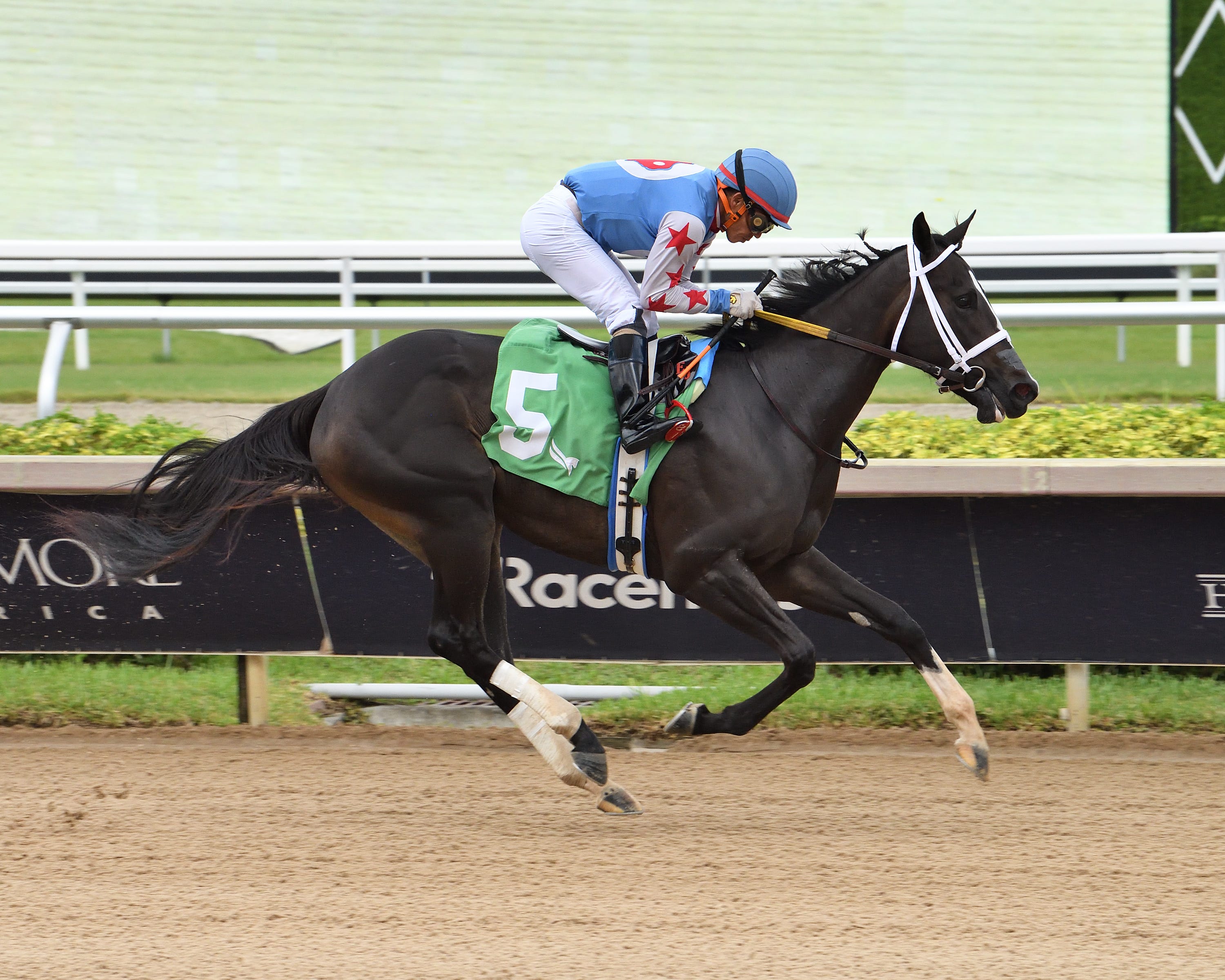 Even from a distance, Joseph holds the power in pair of Gulfstream stakes