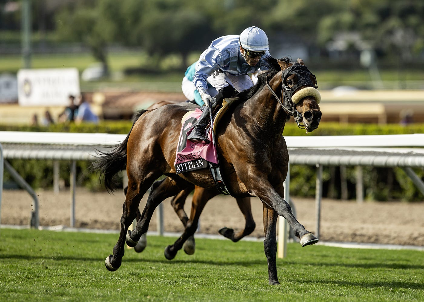 Atitlan needs good effort in John Henry to move on to Breeders' Cup Turf