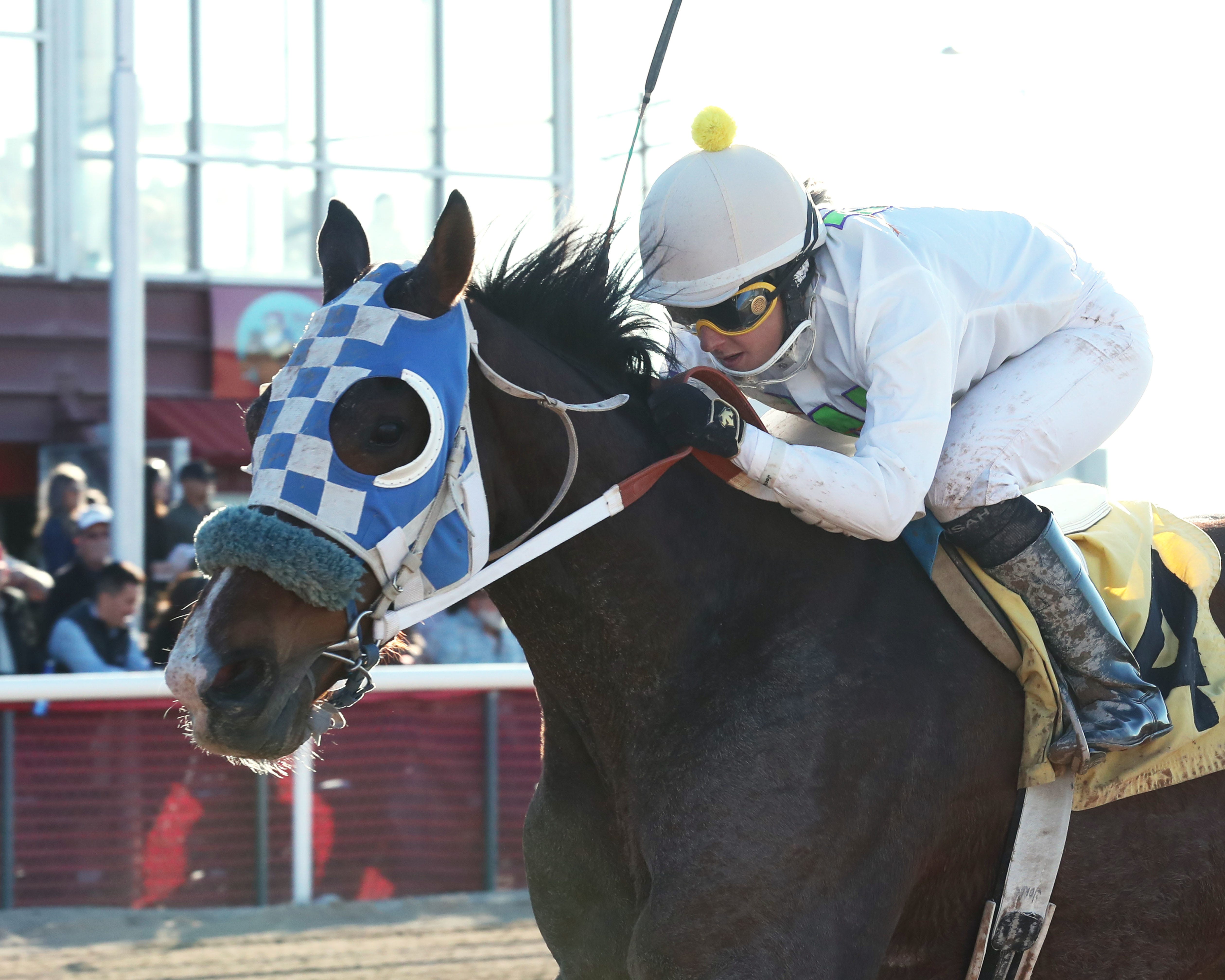 Evans sends out his first starters of the meet