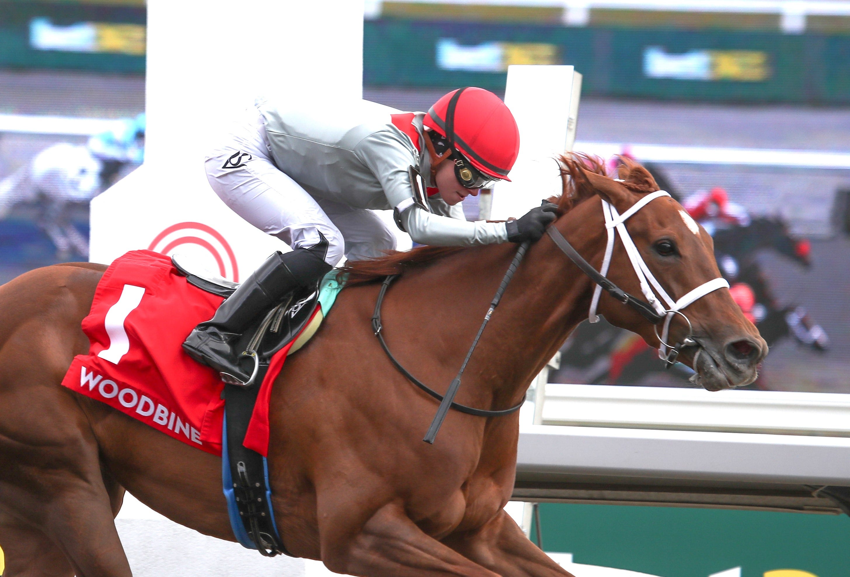 Brindi ships in seeking second stakes of meet