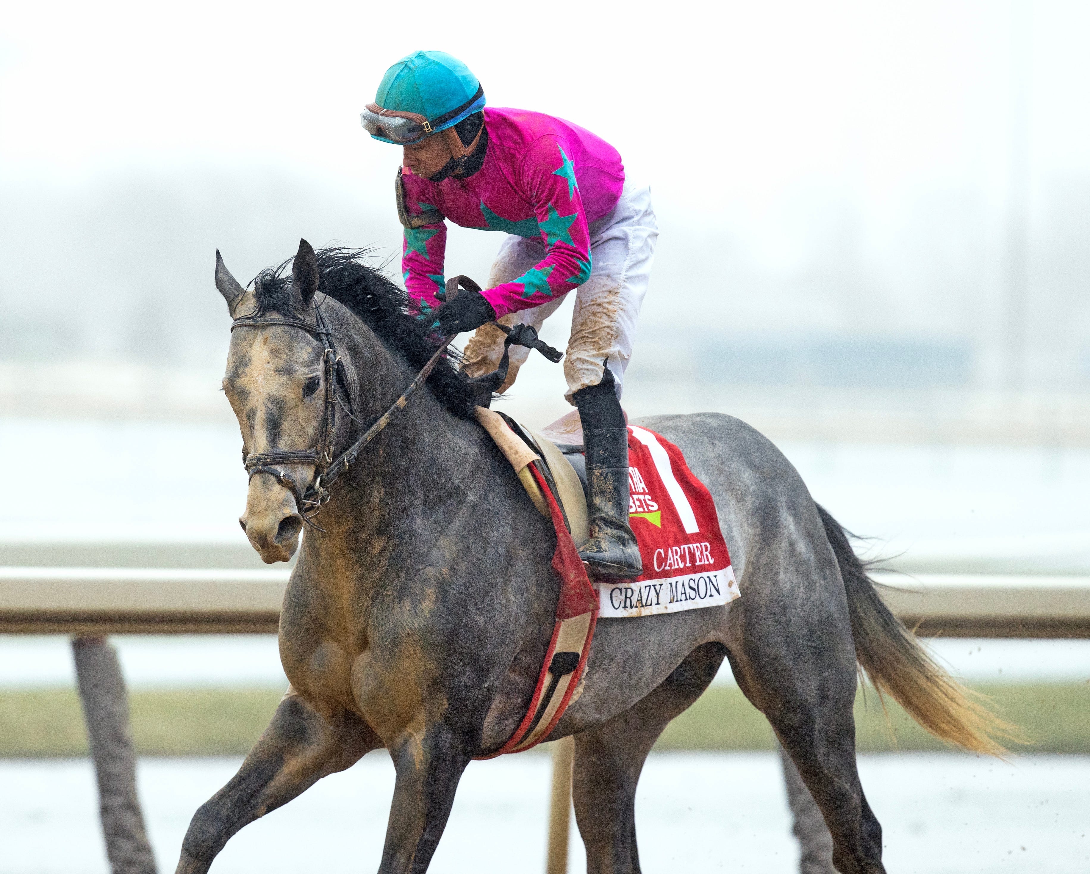 Crazy Mason works with eye on True North