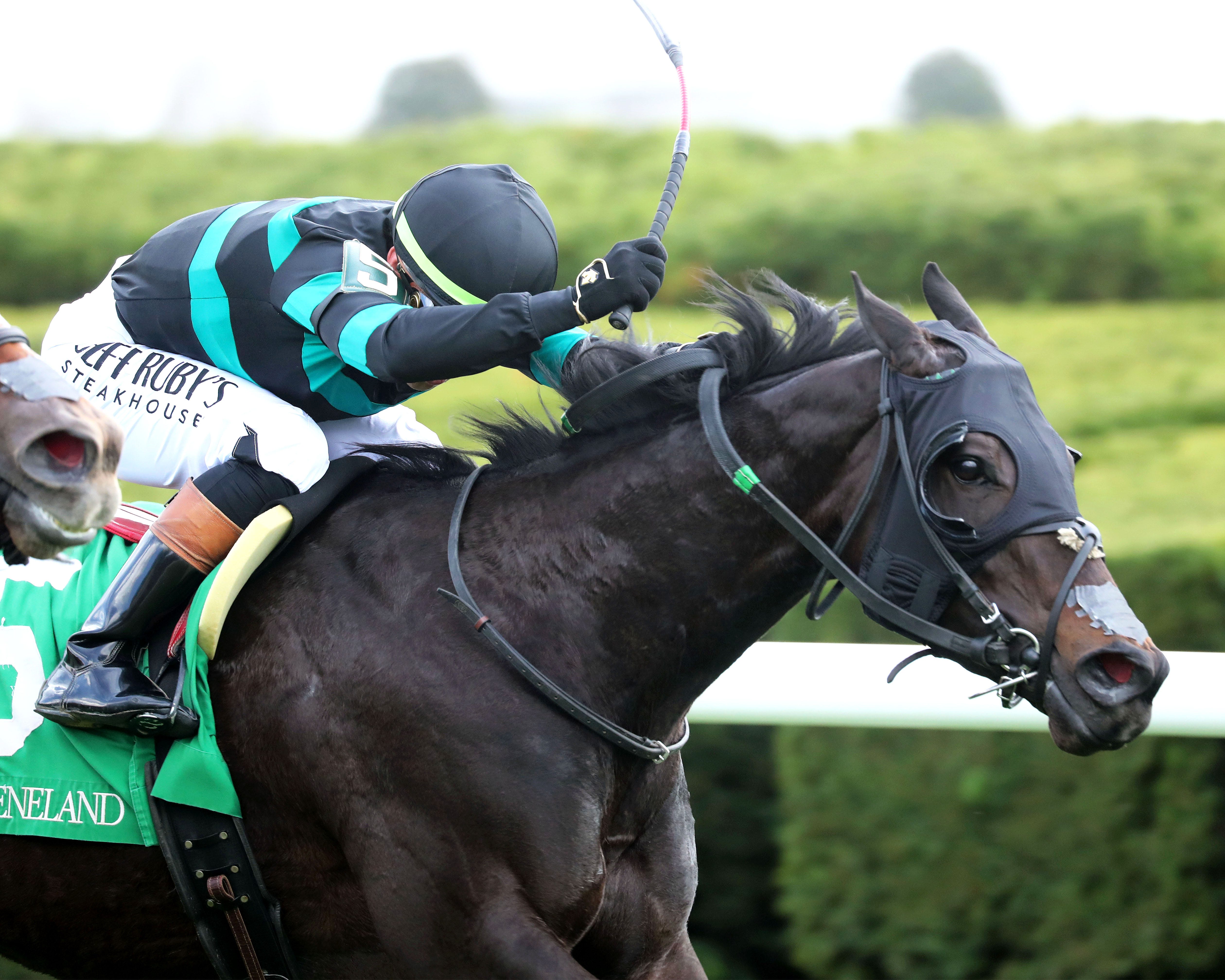 Turf sprint allowance contenders come out of hot stakes