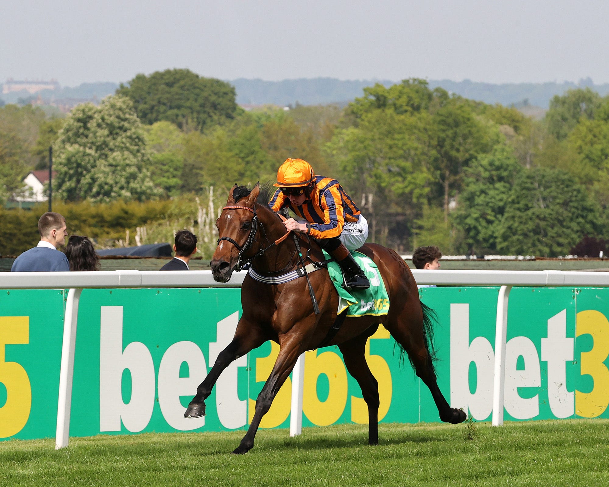 Two sturdy stars and a comer lead the Lockinge