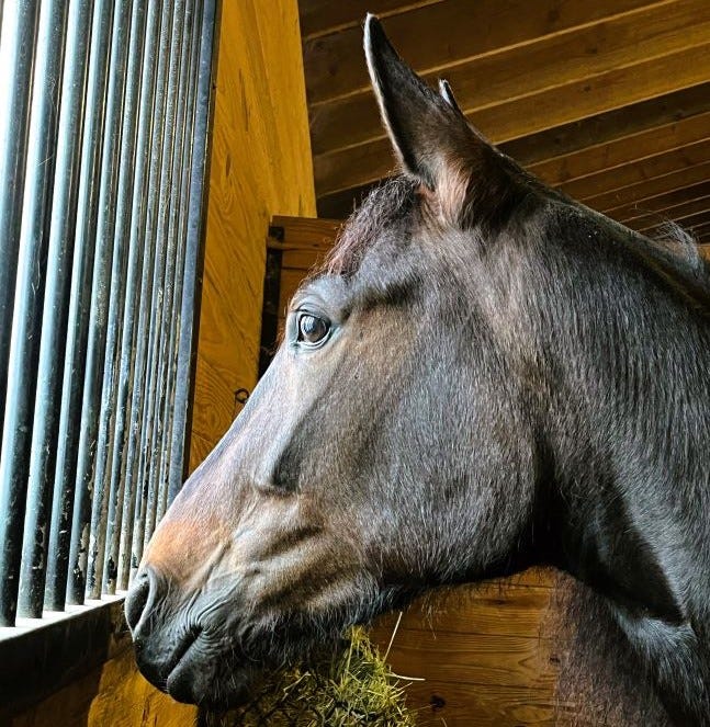 The Meadows: Dearly Beloved aims to continue progress in PASS