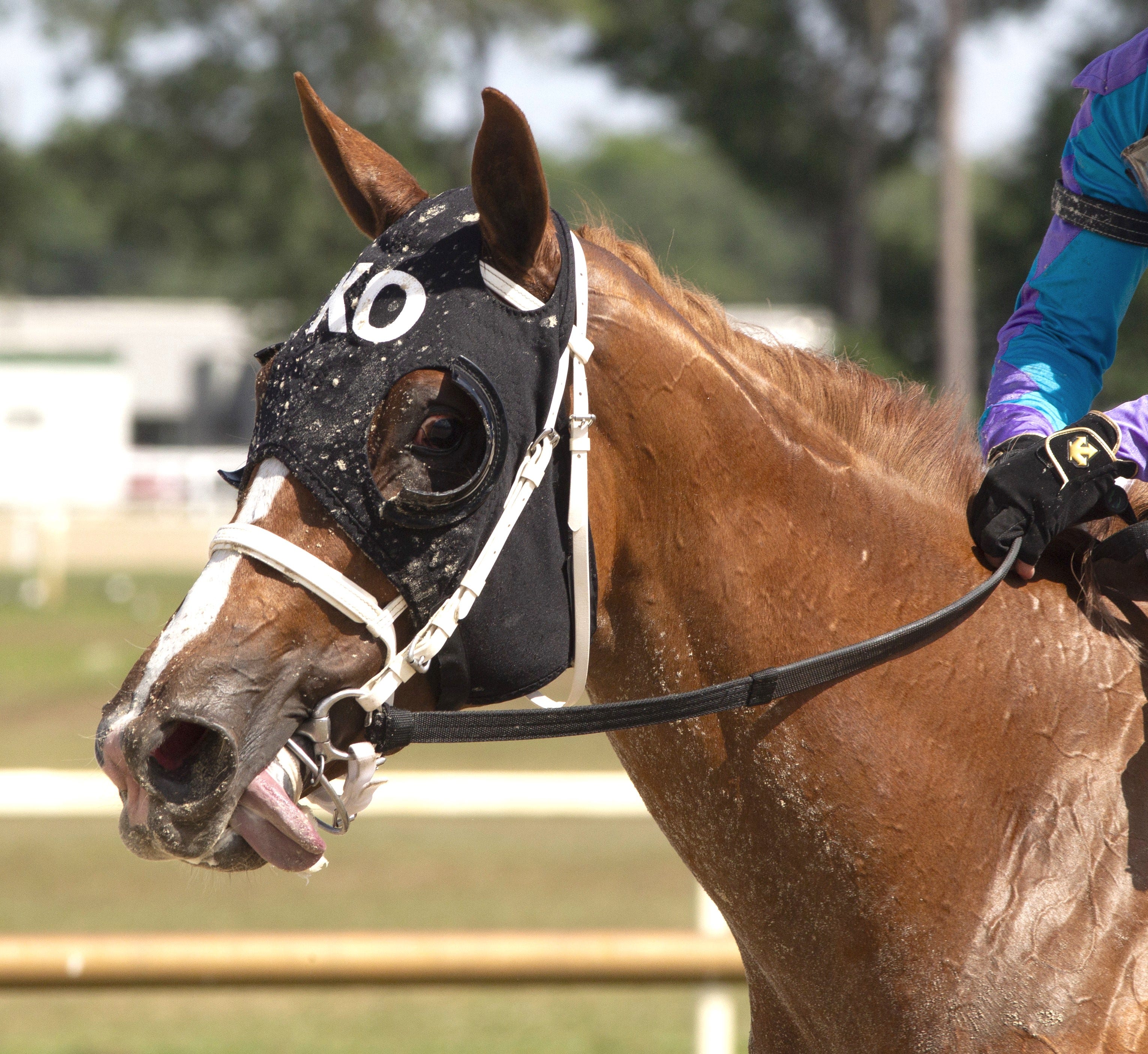 Dream Concert may end losing streak in overnight handicap