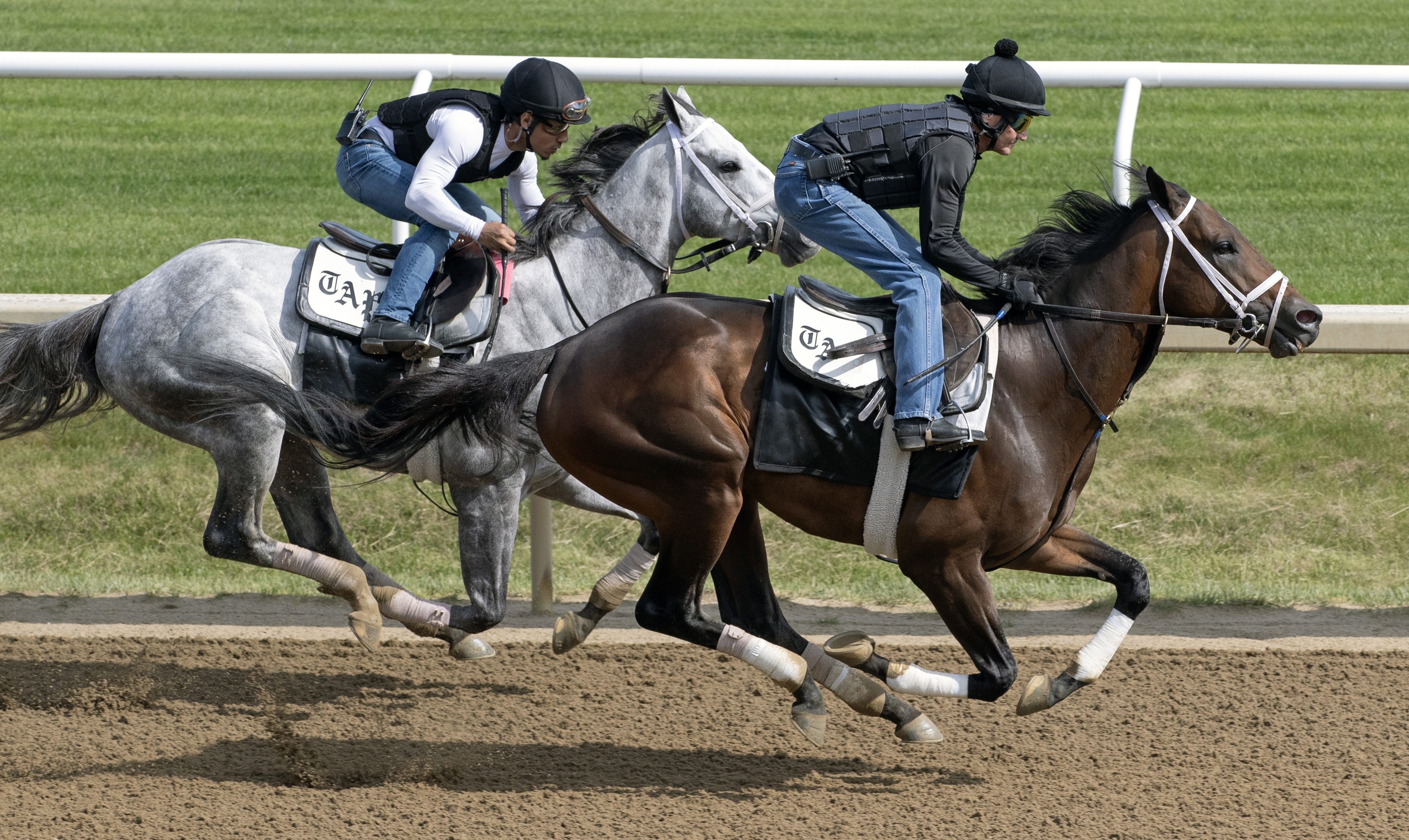 Pletcher preps Fierceness for cutback in Met Mile with half-mile move