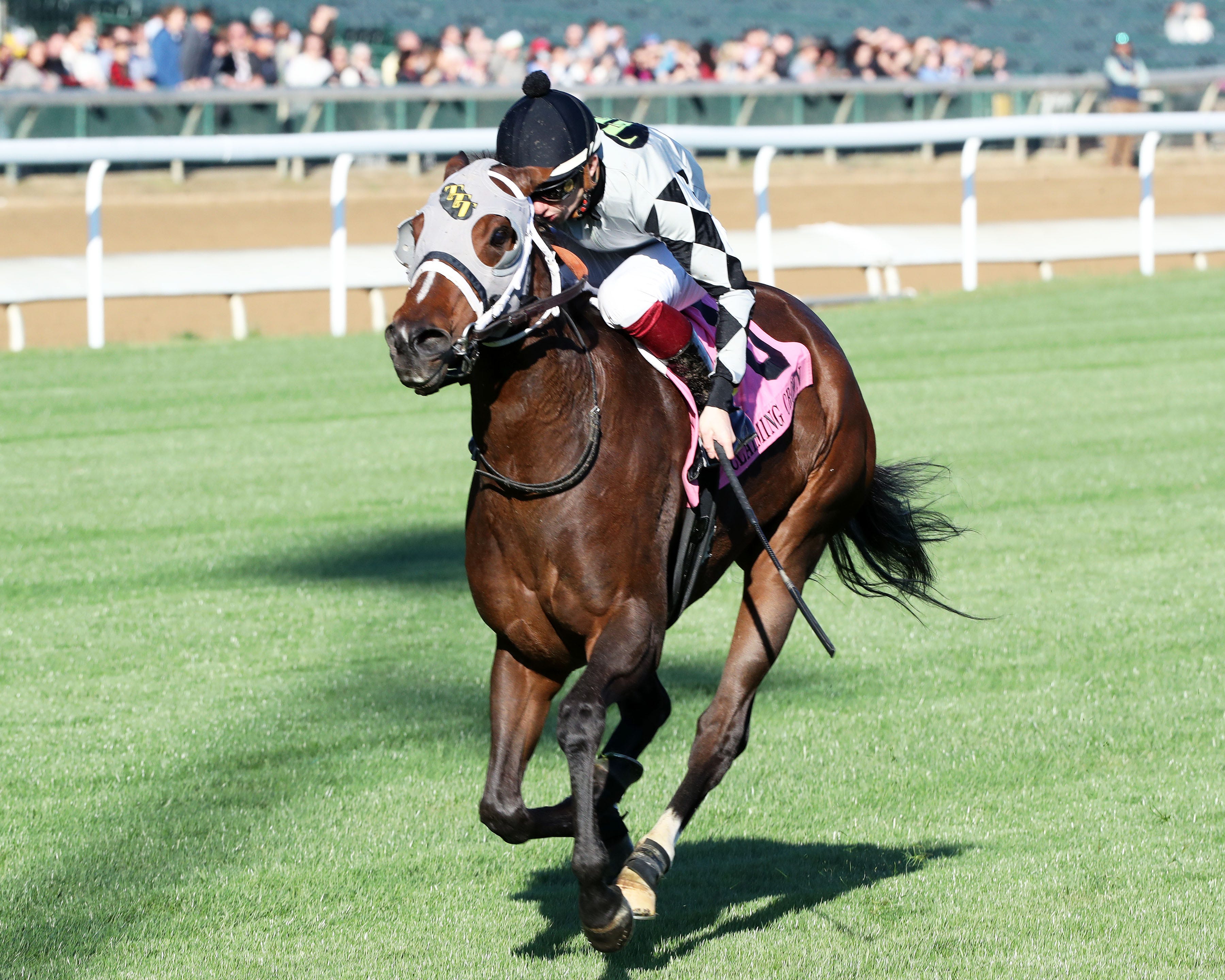 Lack of pace could hinder Ghostly Gal in turf allowance