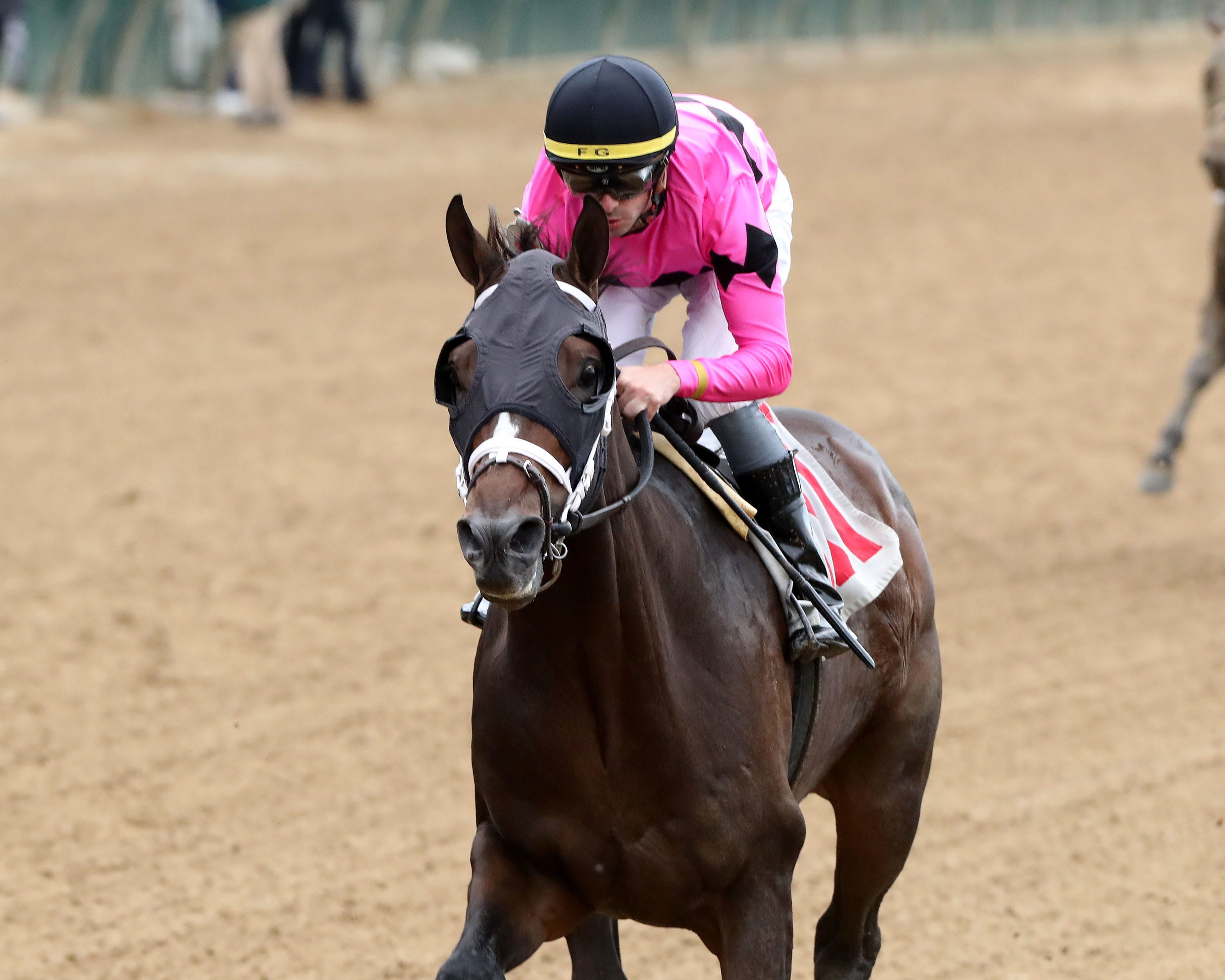 Cox aiming Instant Replay toward Indiana or Iowa Derby