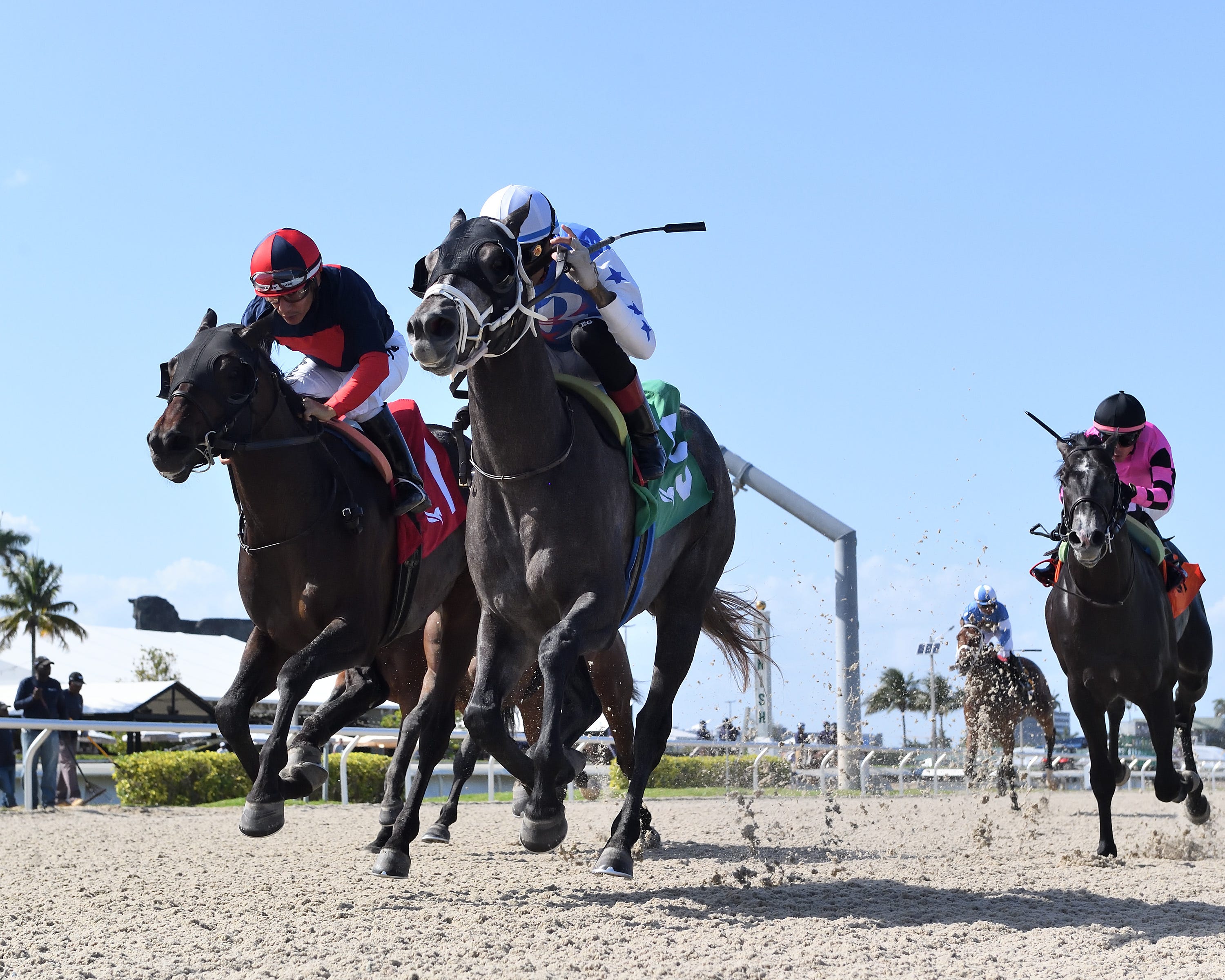 Miss Mary Nell, Iron Hand meet following similar race patterns