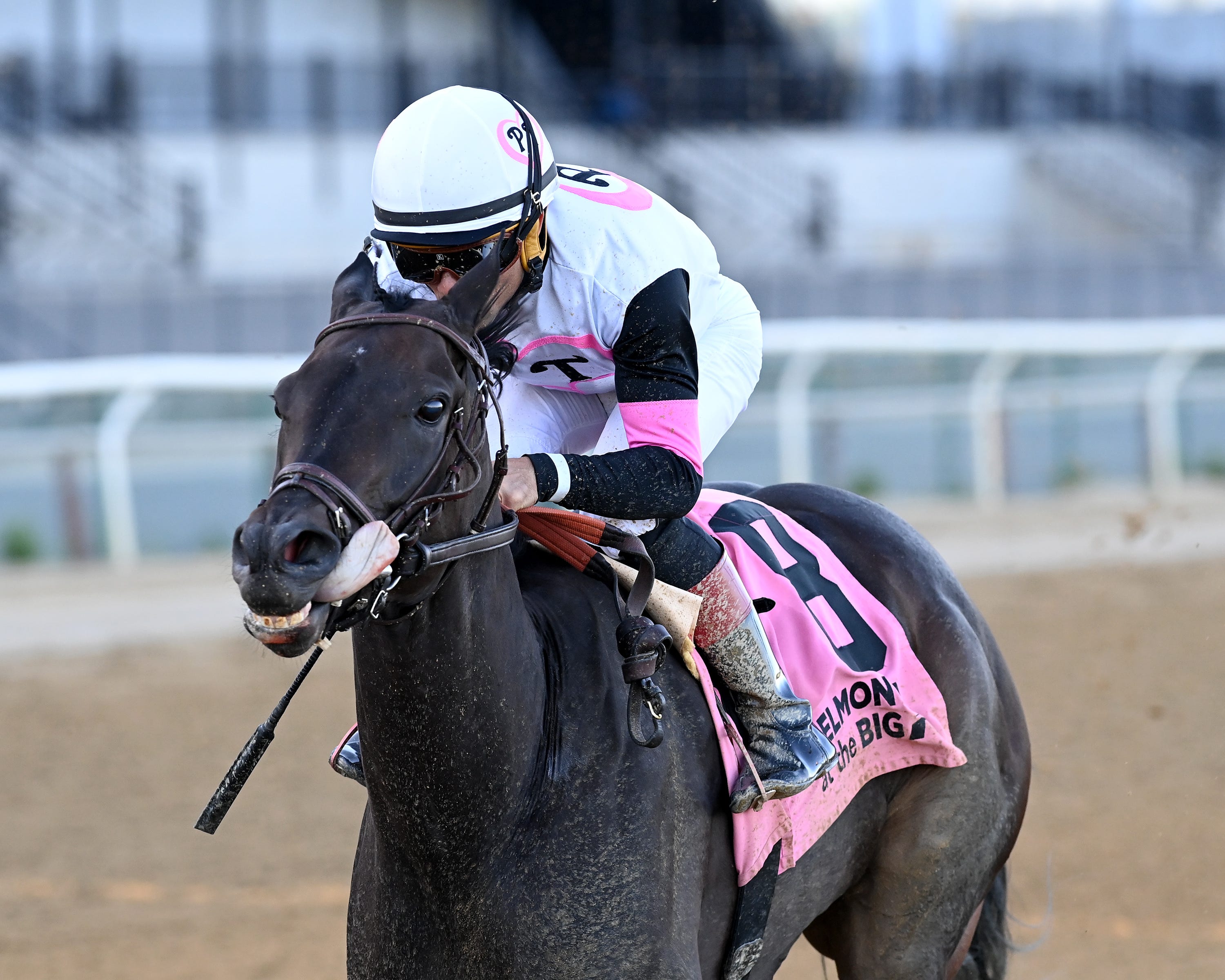 Jody's Pride being pointed to Ballerina off Ruffian win