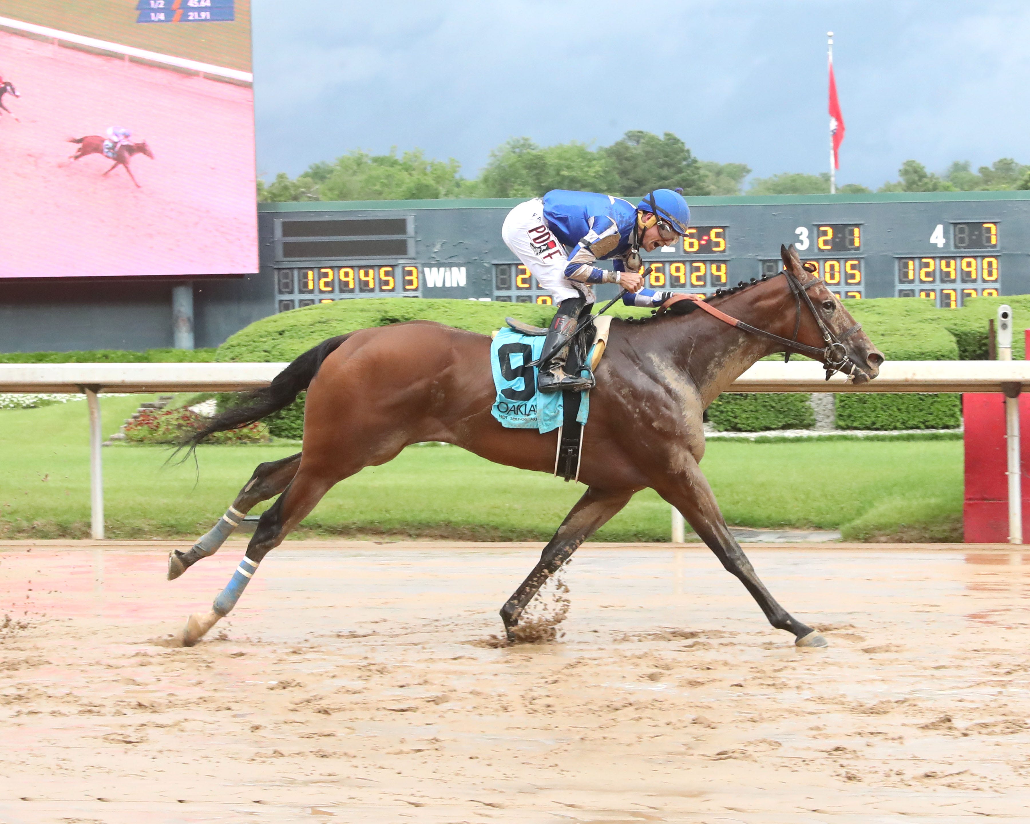 Max Got Excited blows by Kale's Angel in stretch to snatch Bachelor
