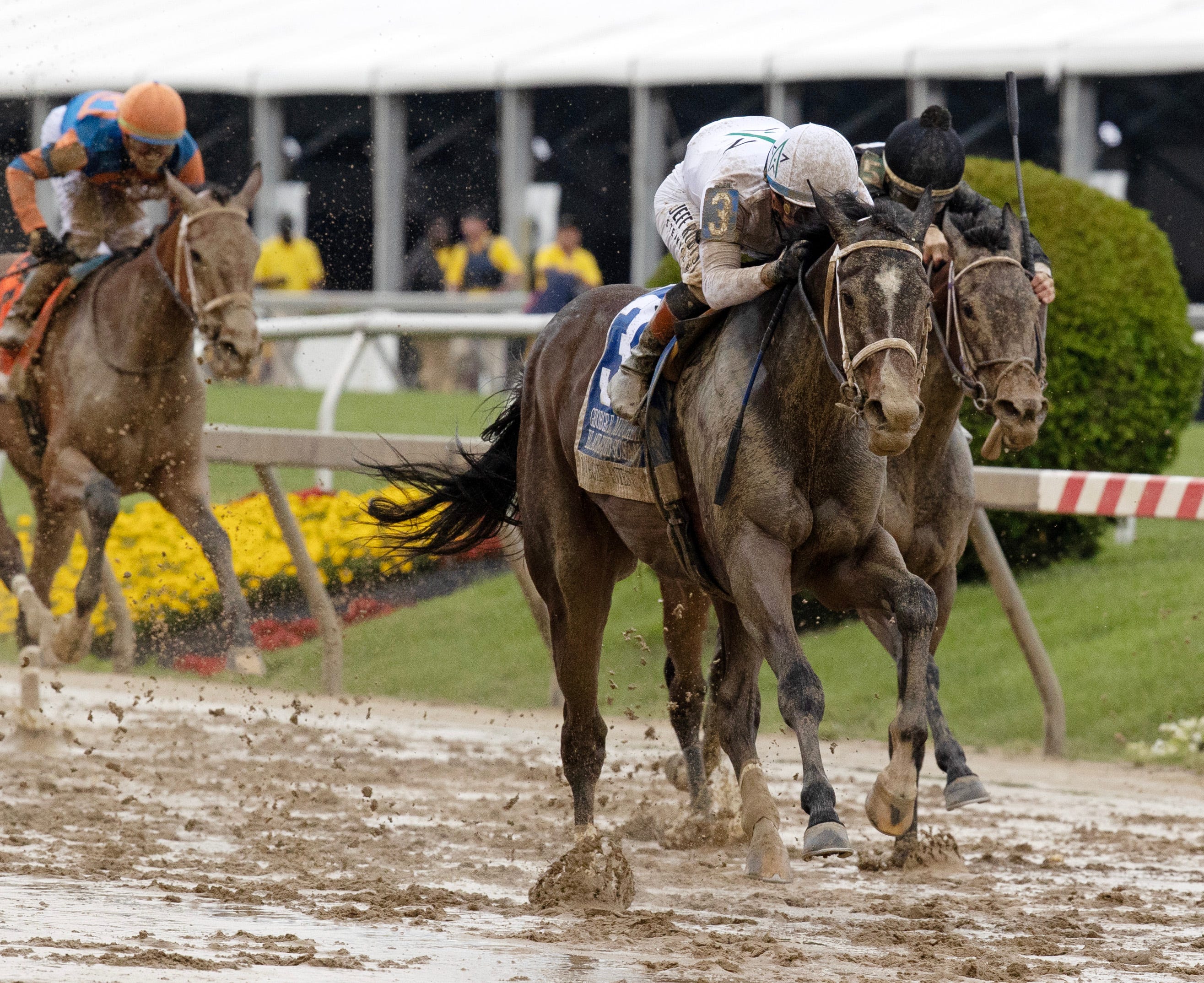 Margie's Intention rolls late to take Black-Eyed Susan