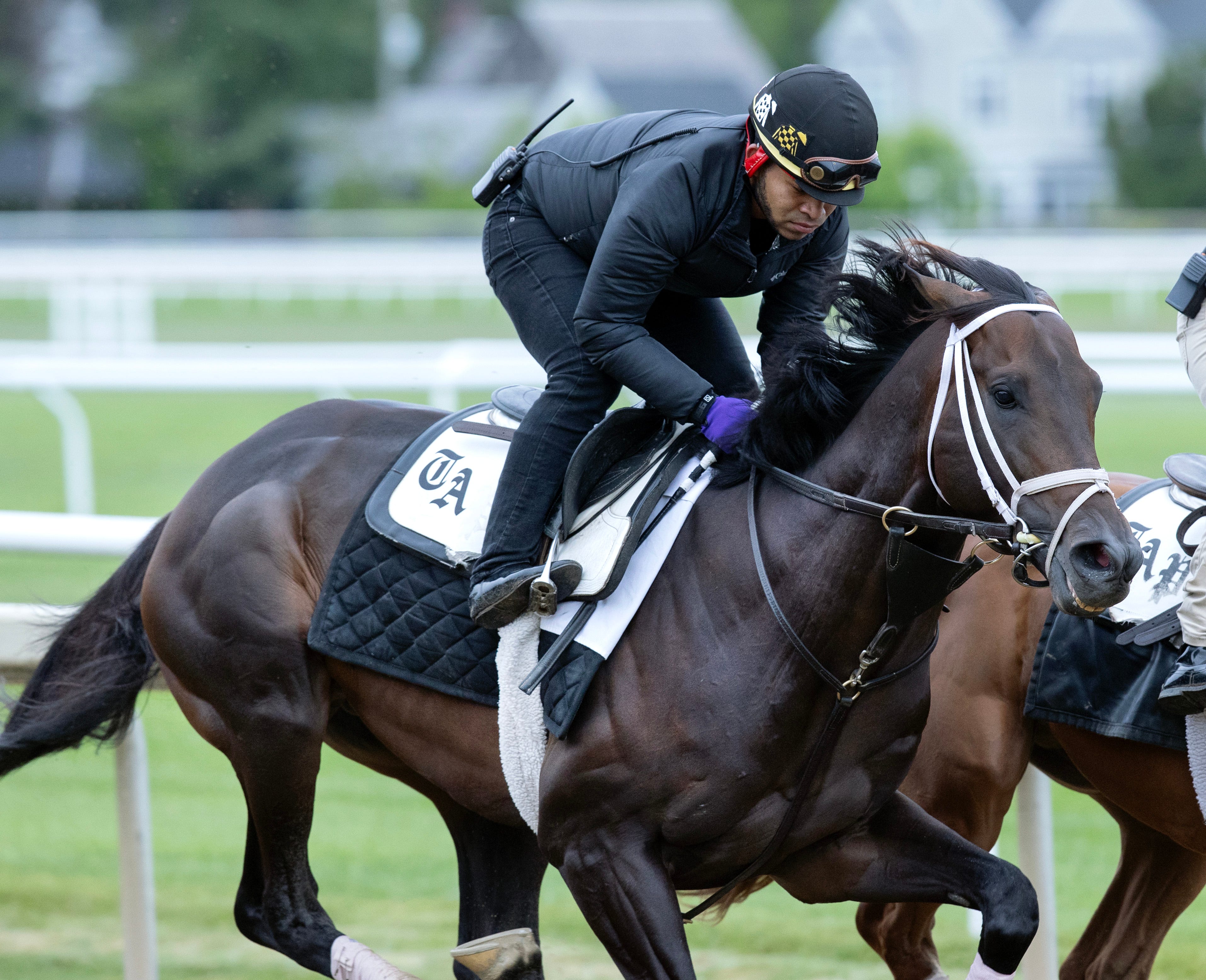 Mindframe works easy at Saratoga, while Antiquarian and Disruptor impress