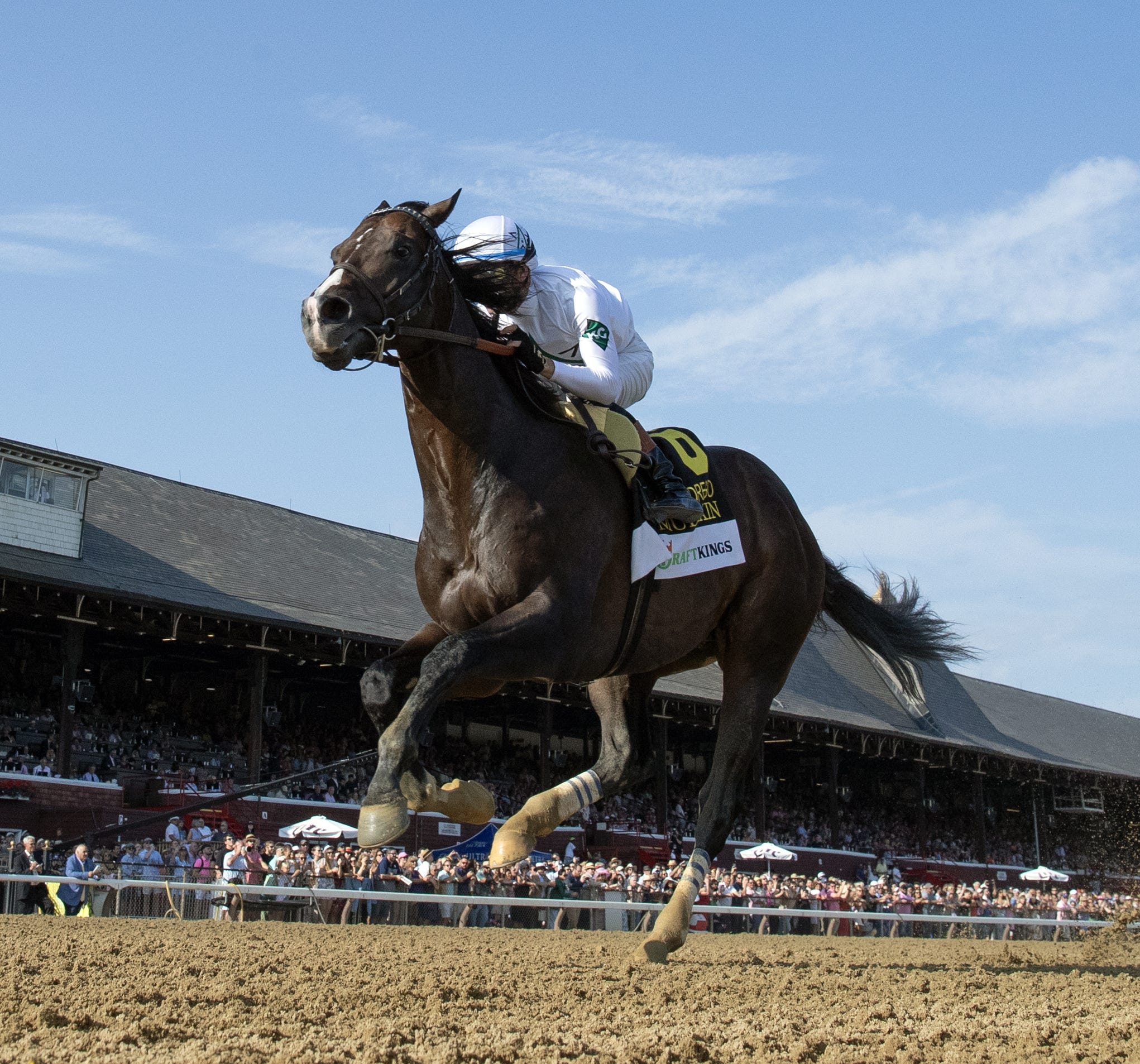 Mullikin unlikely for Met Mile