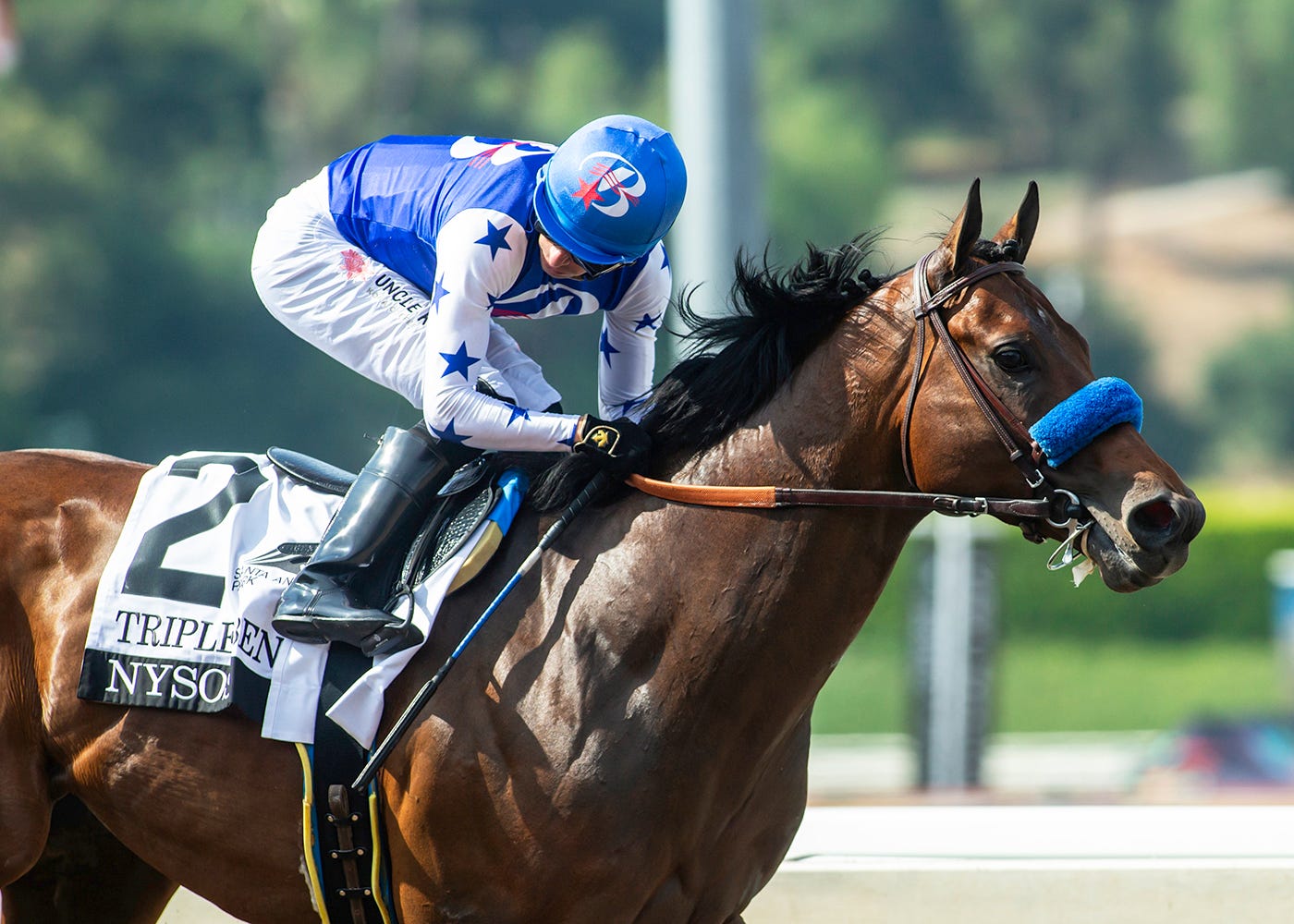 Nysos will skip Stephen Foster, run in San Diego Handicap