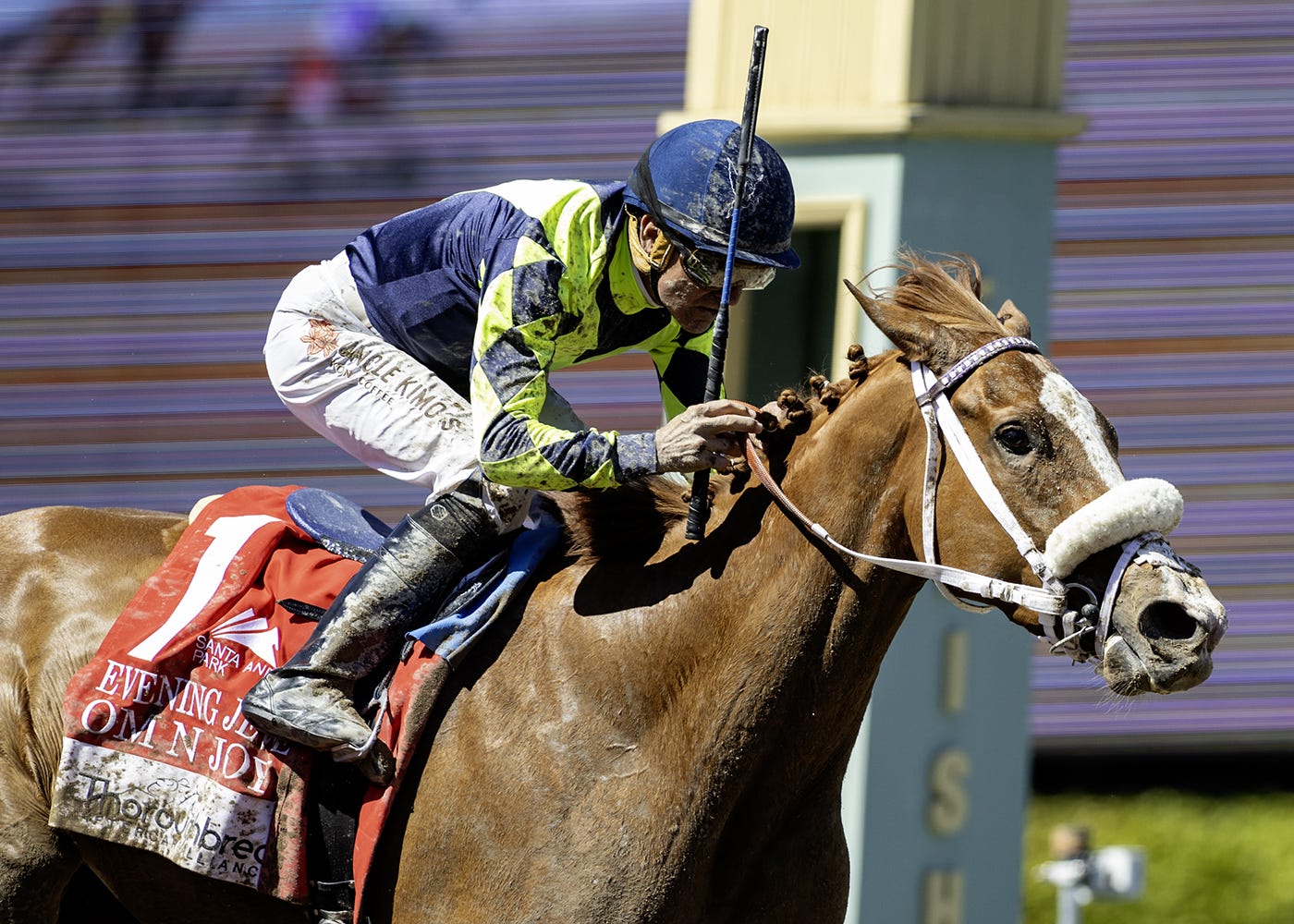 Ordonez seeks second stakes win with Om N Joy