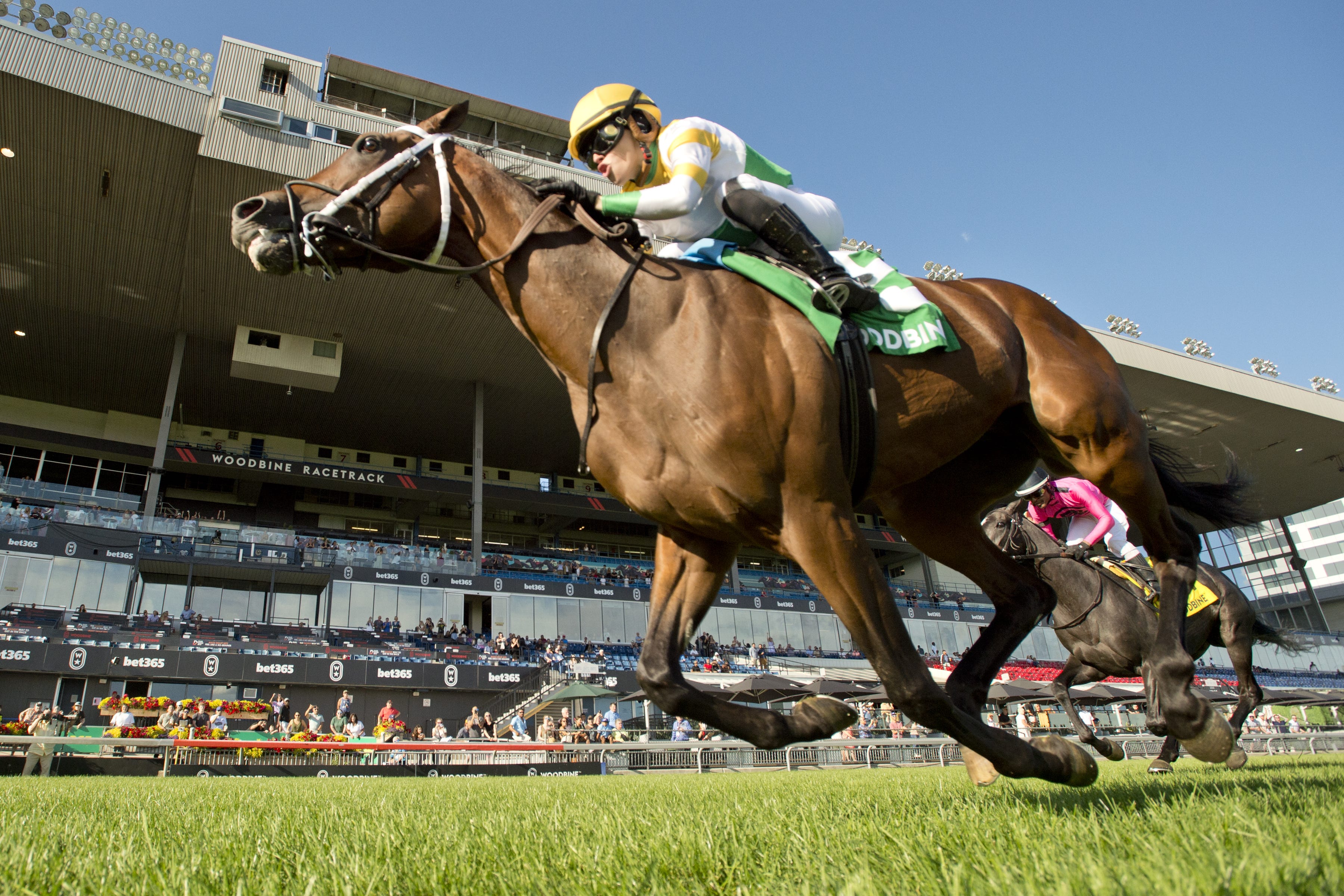 Piper's Factor heads north to regain mojo after tough Kentucky run