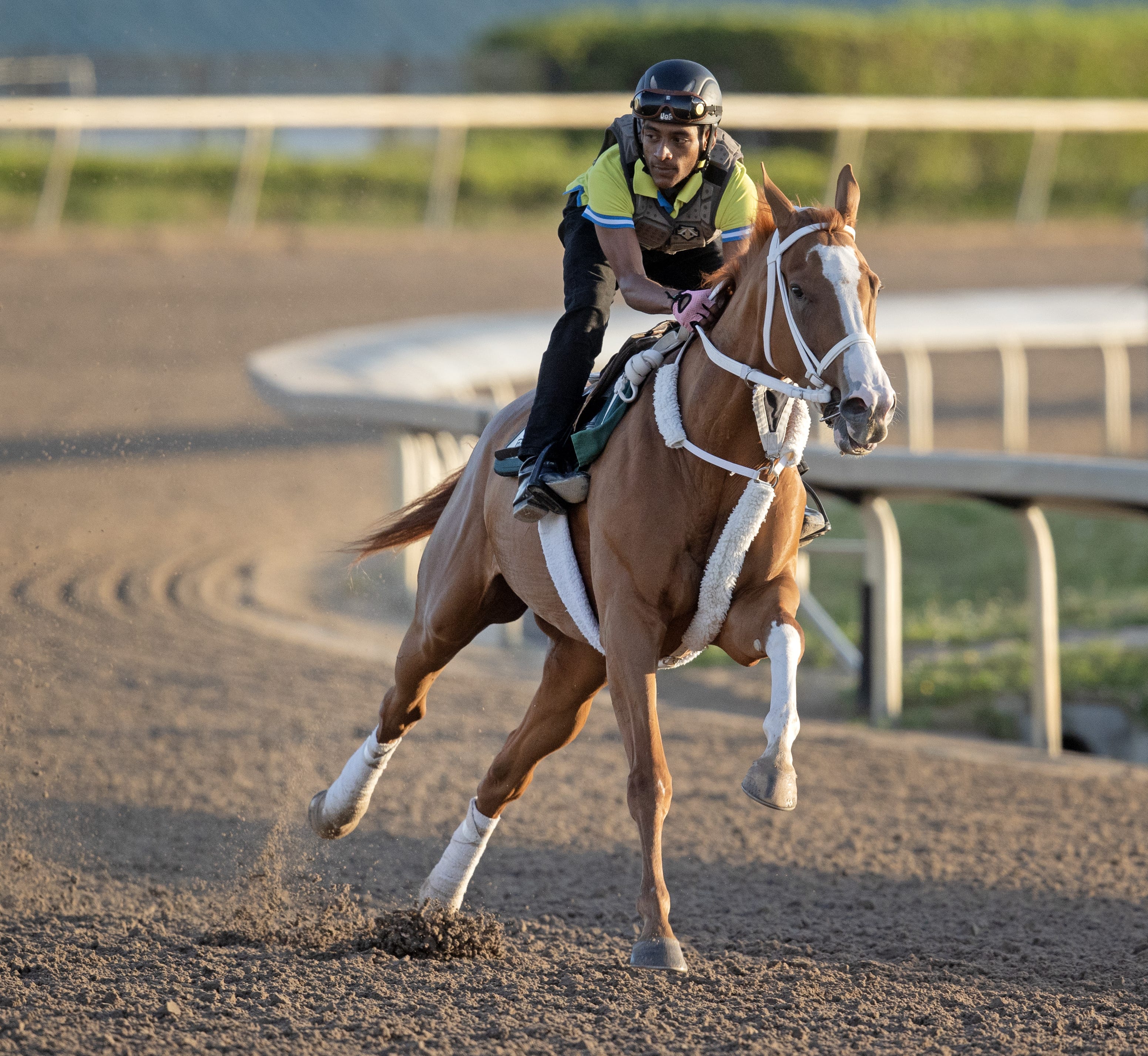 Power Squeeze gets major class relief but is no cinch in Serena's Song