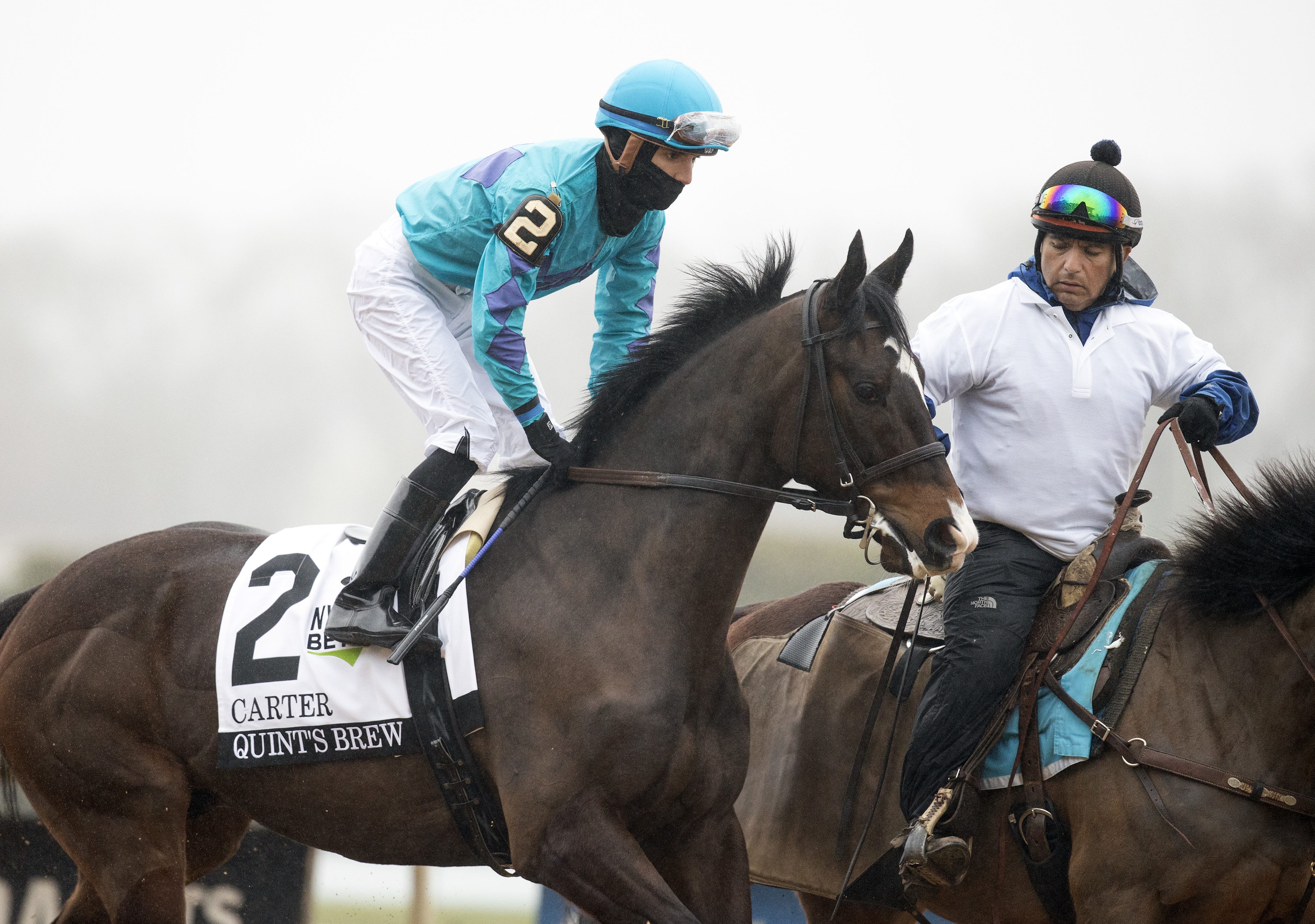 Quint's Brew ready for a test in Westchester Stakes