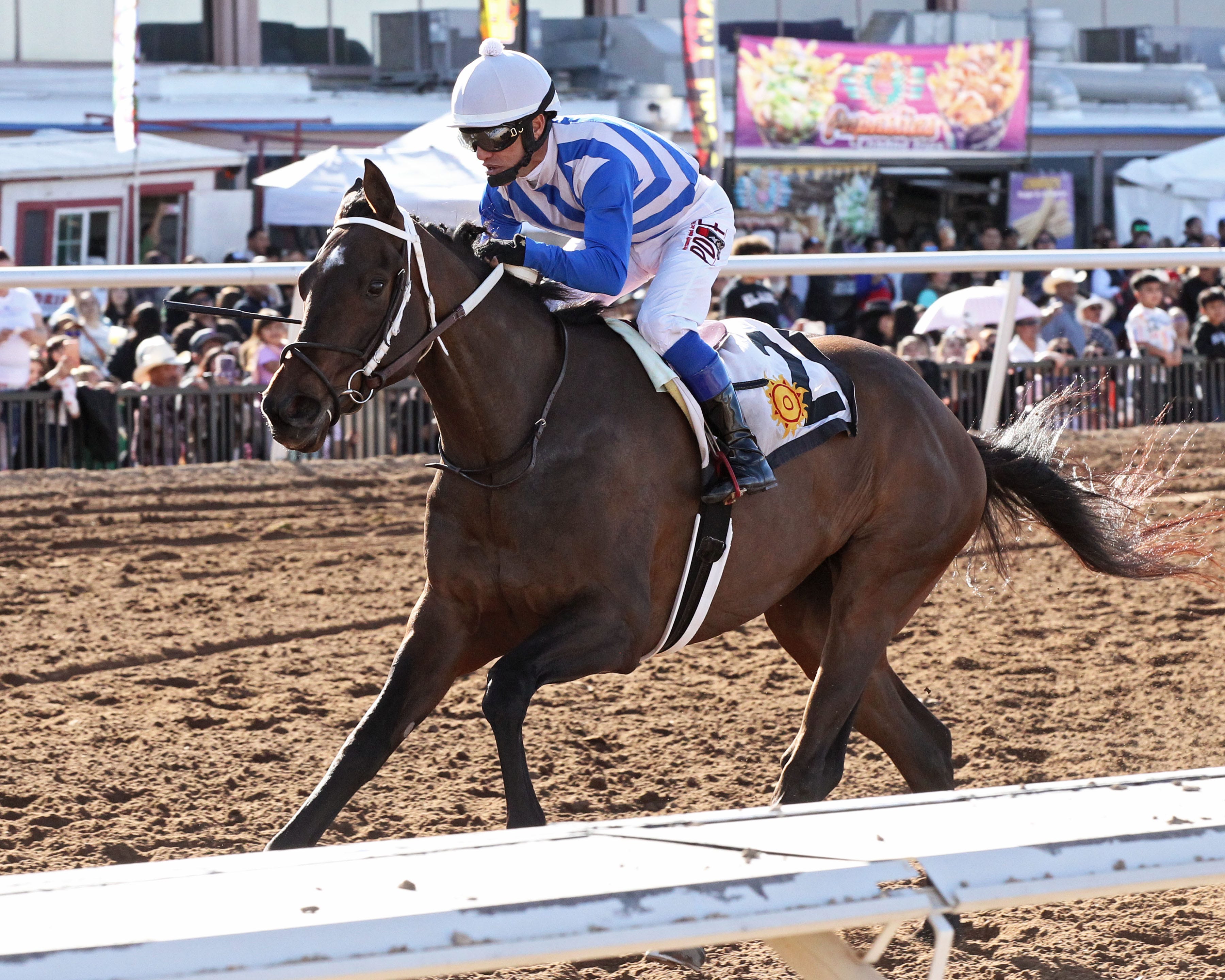 No clear favorite emerges from Black-Eyed Susan draw