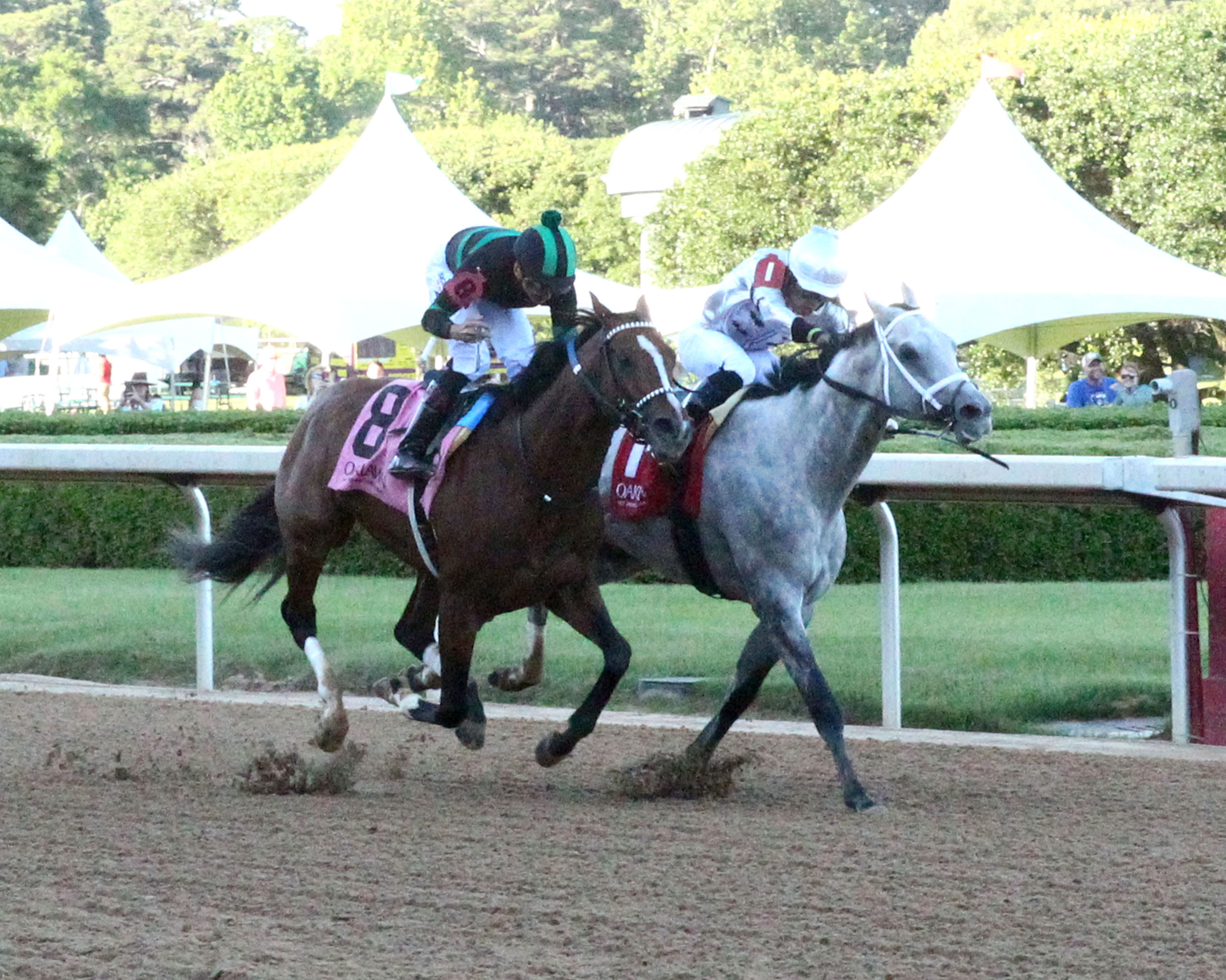 Saudi Crown outlasts Mystik Dan, prevails in Lake Ouachita Stakes