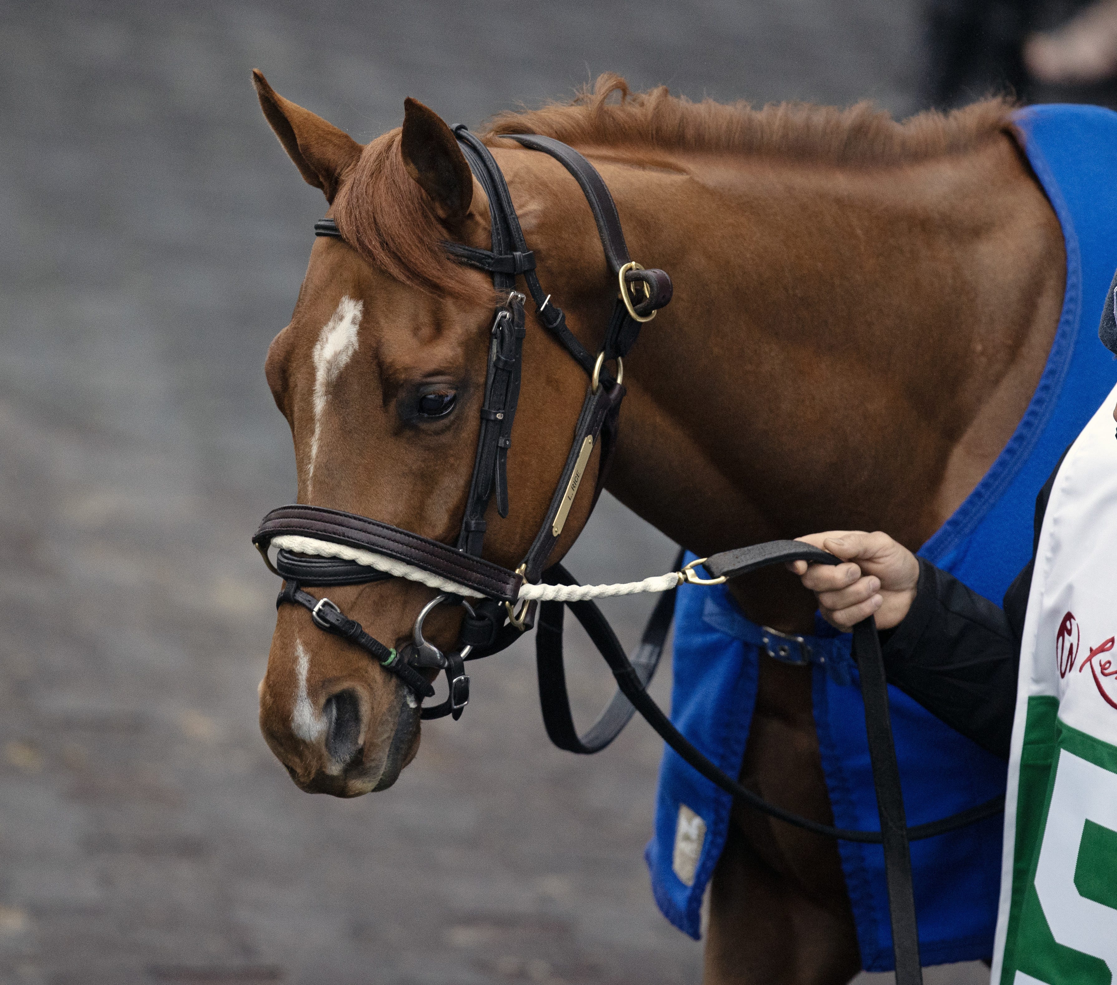 Sand Devil gets cutback against solid field of 3-year-olds