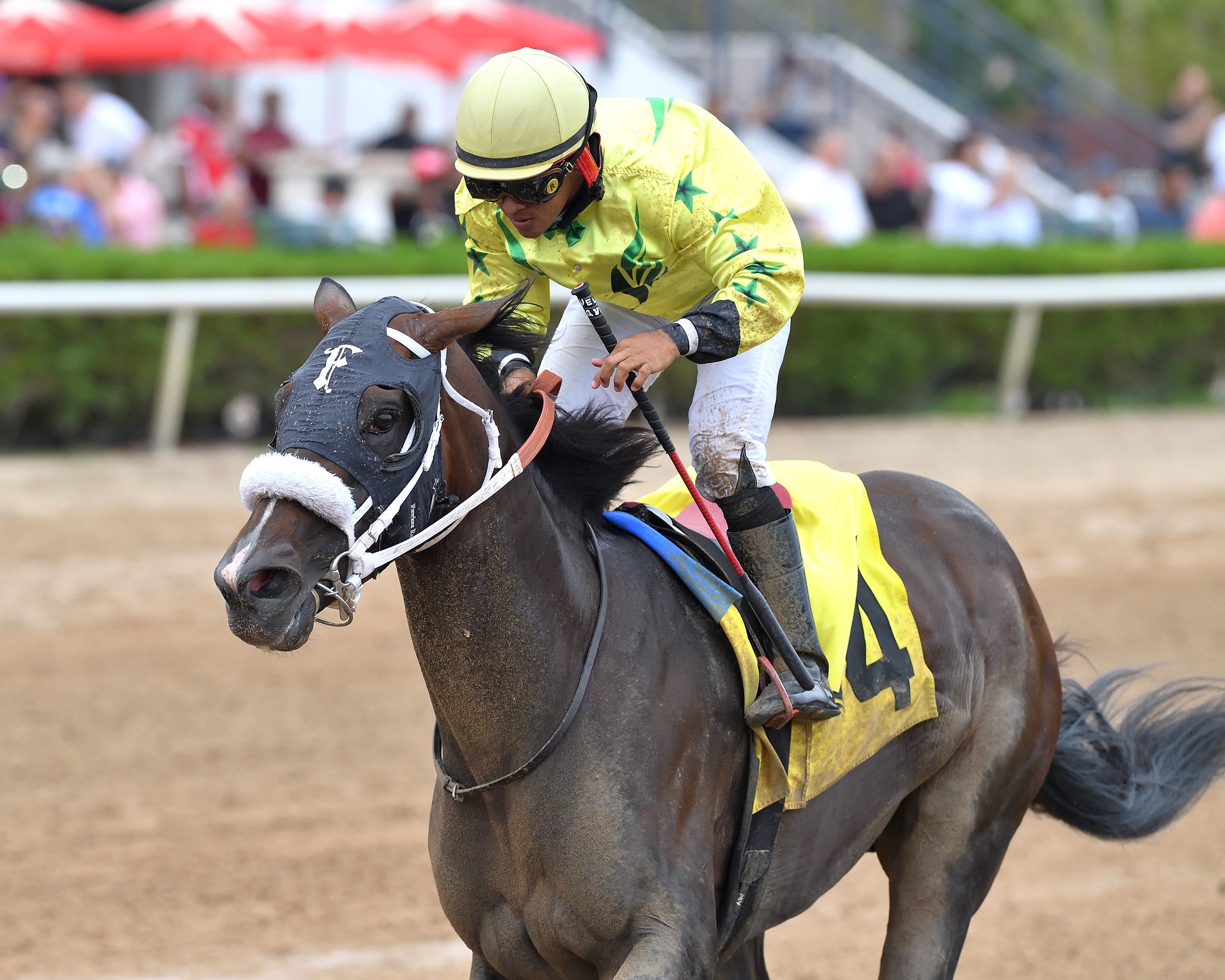 Shaq Diesel picks perfect race to get back in the win column