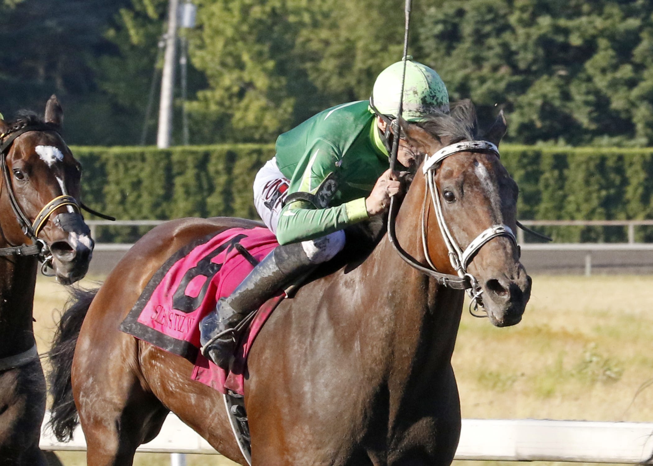 Slew's Tiz Whiz begins campaign with new rider