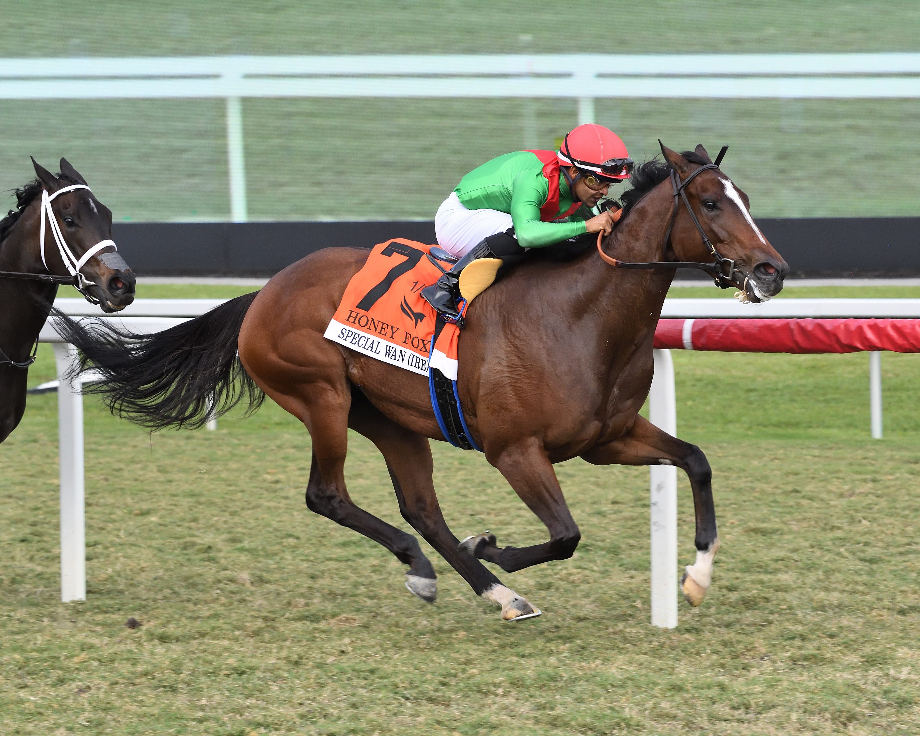 Walsh believes he has a potential star with Special Wan in Distaff Turf ...