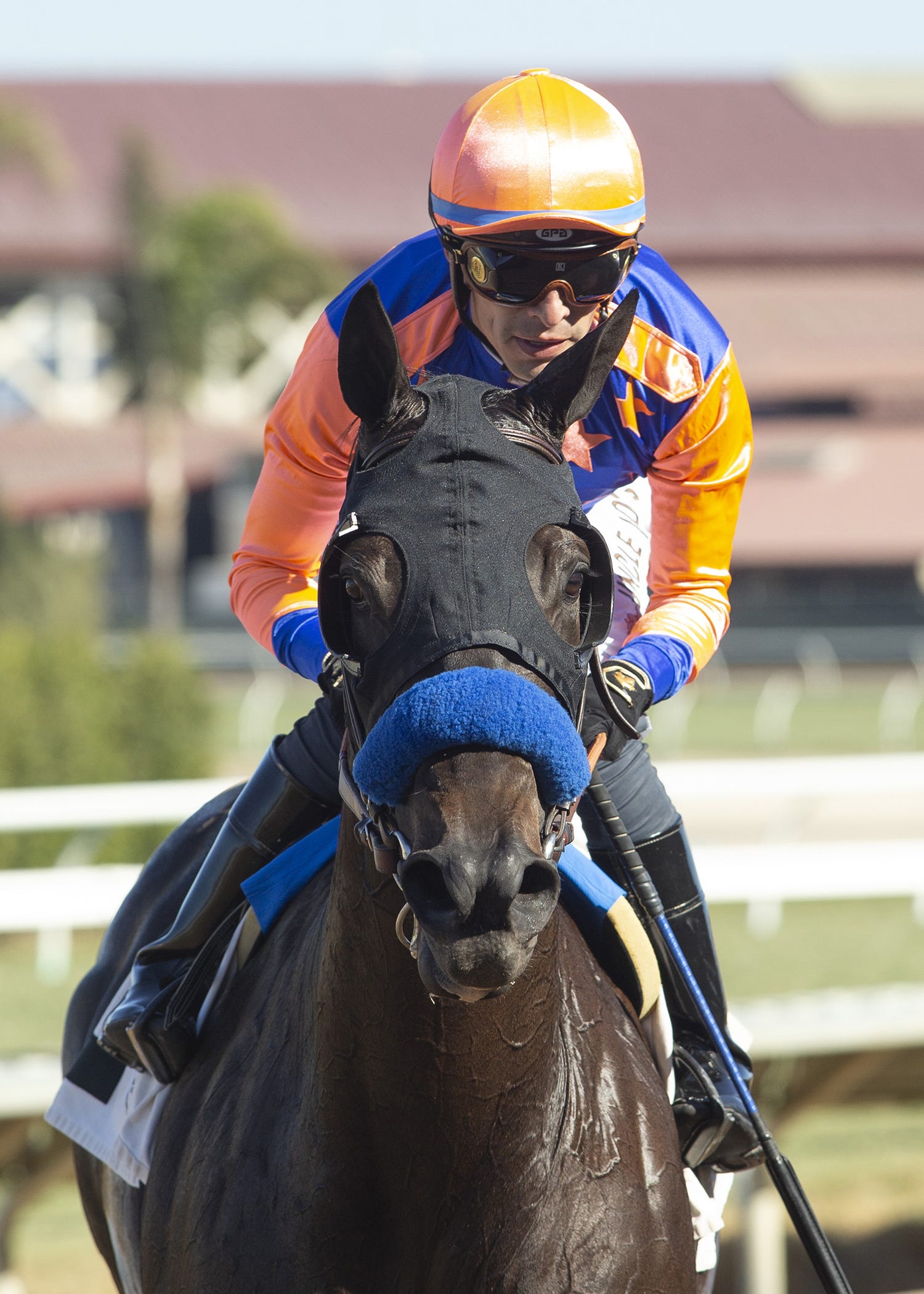 Hernandez opts for Splendora over stablemate in Santa Margarita