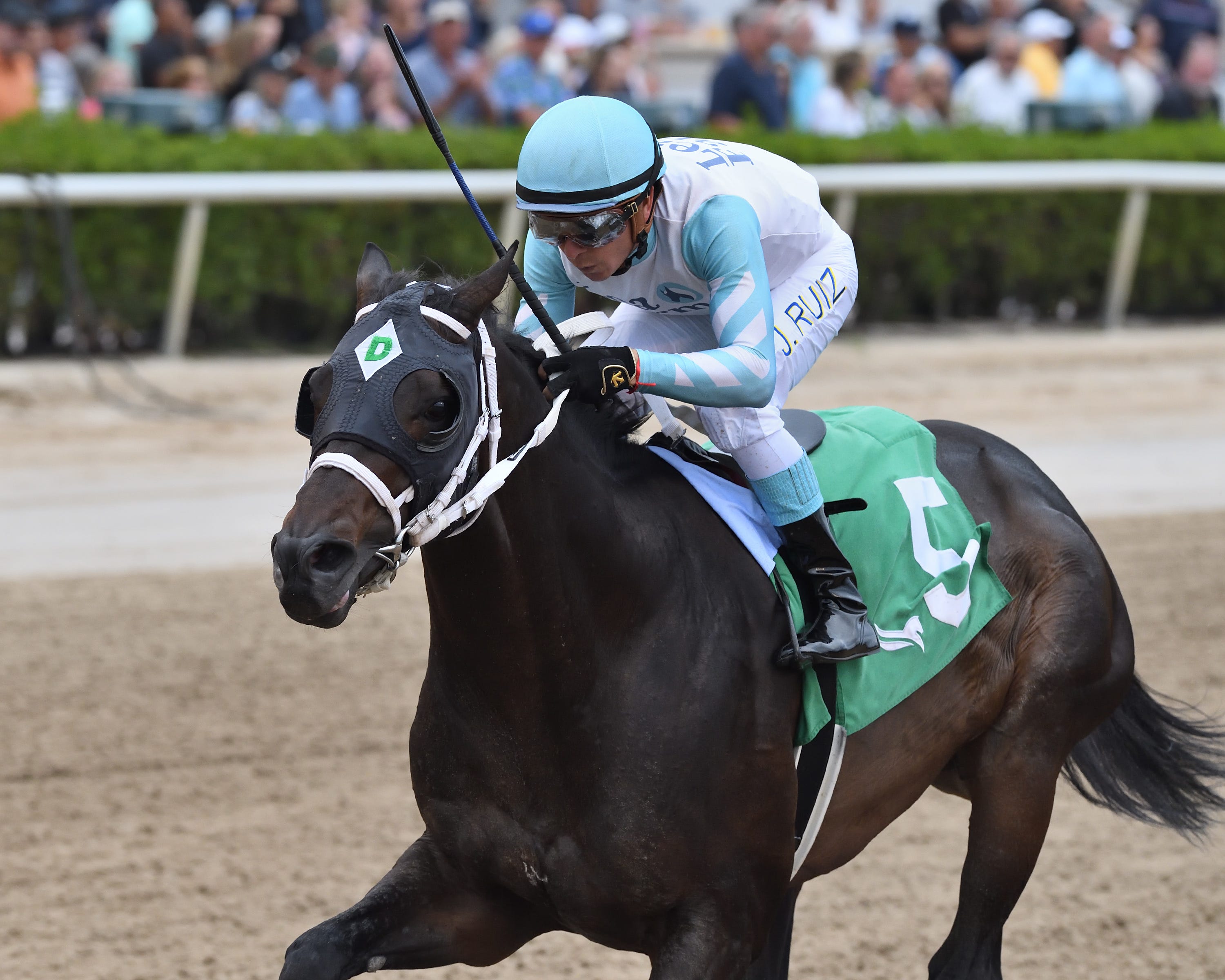 Back from Dubai, Super Chow eyes return to form in Mr. Prospector