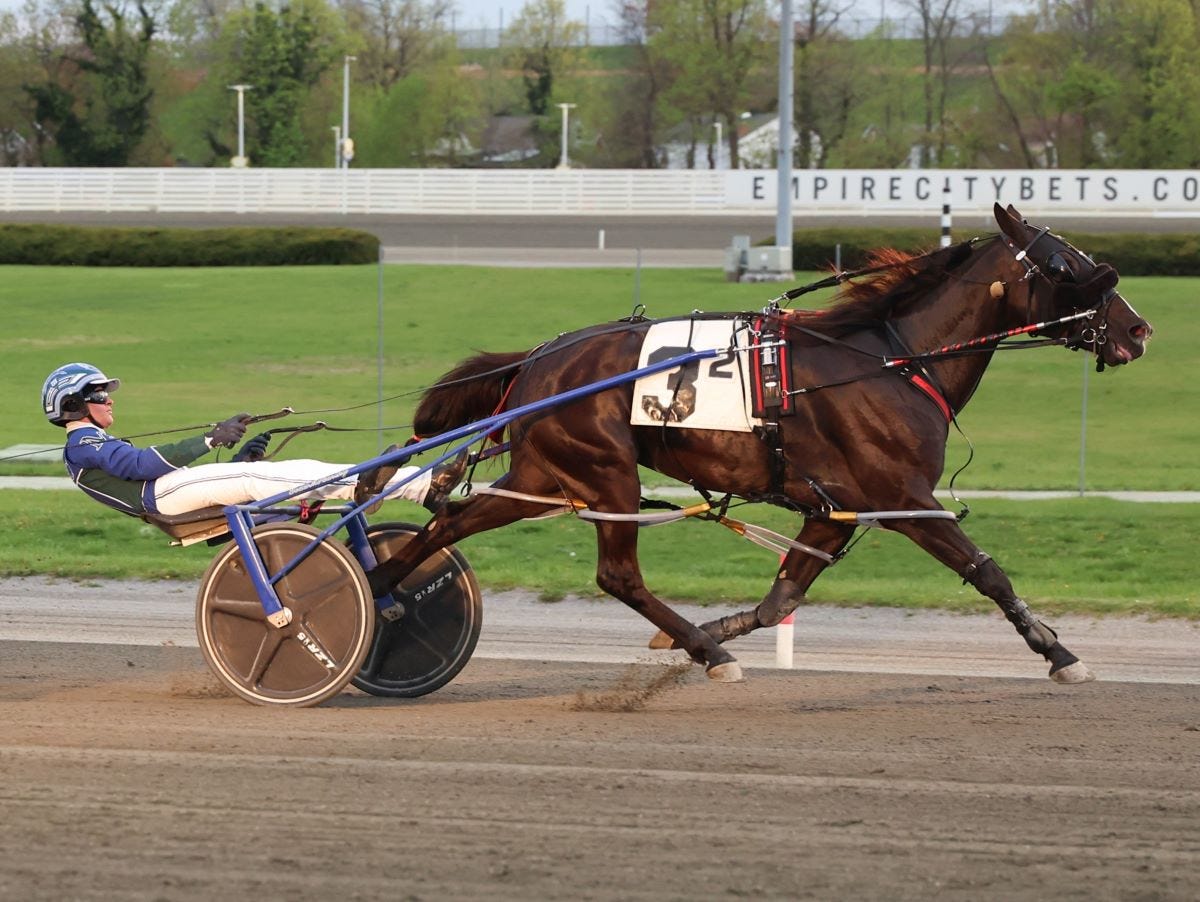 Yonkers: Talk Curdy To Me aims to make some cheddar in Matchmaker final