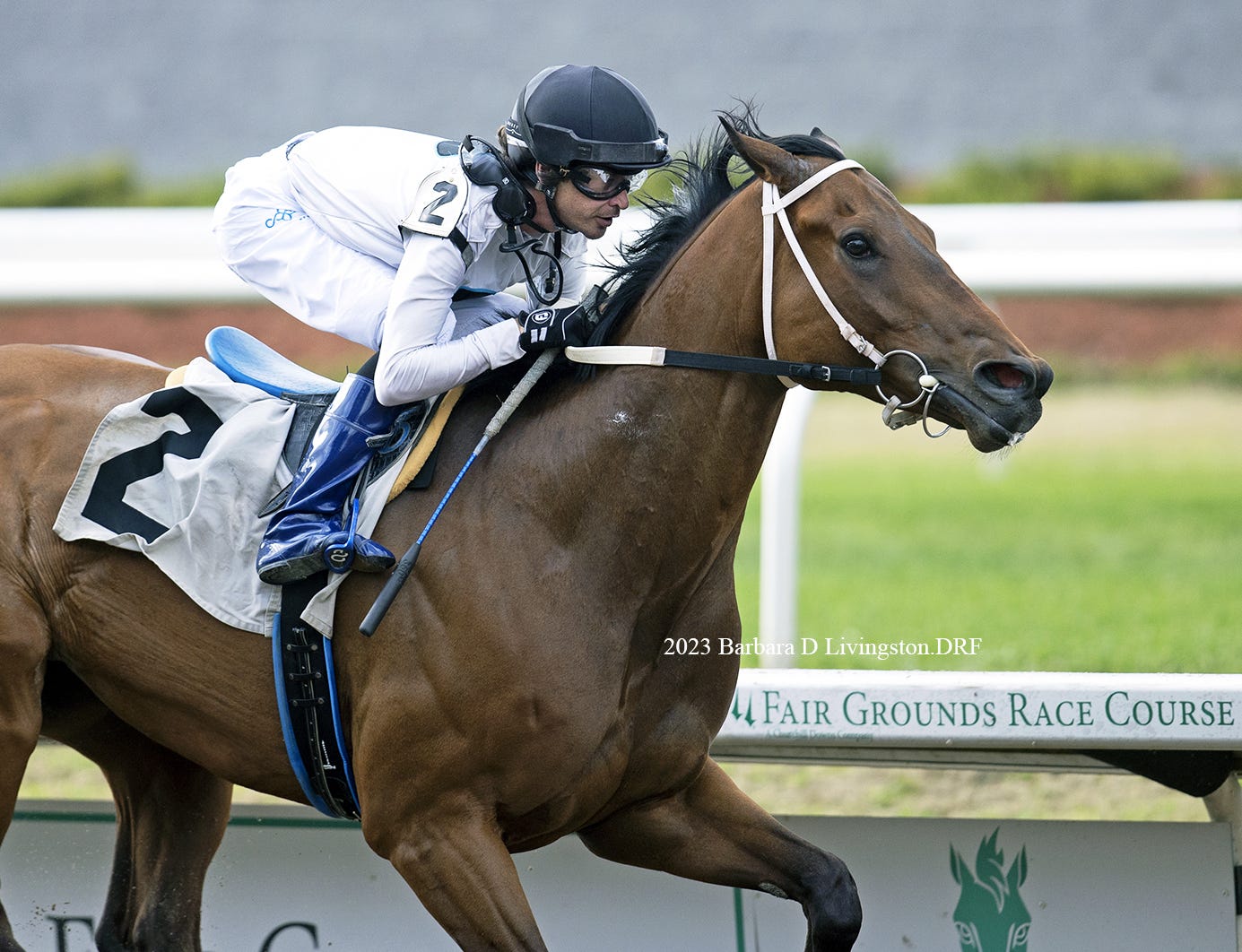 Touchuponastar hopes third time's a charm in Steve Sexton Mile