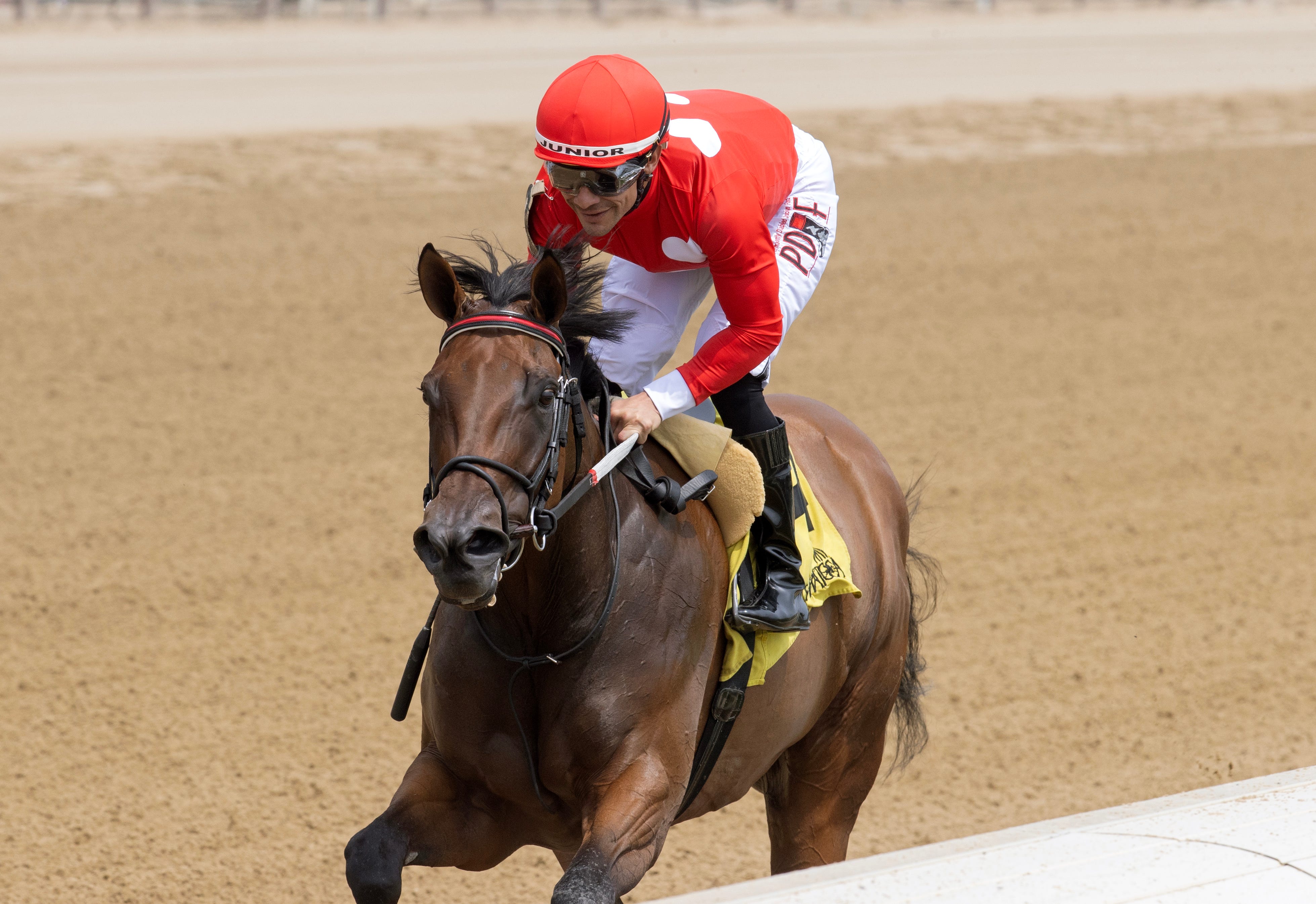 Hope Road best of a very tough cast in the Winning Colors