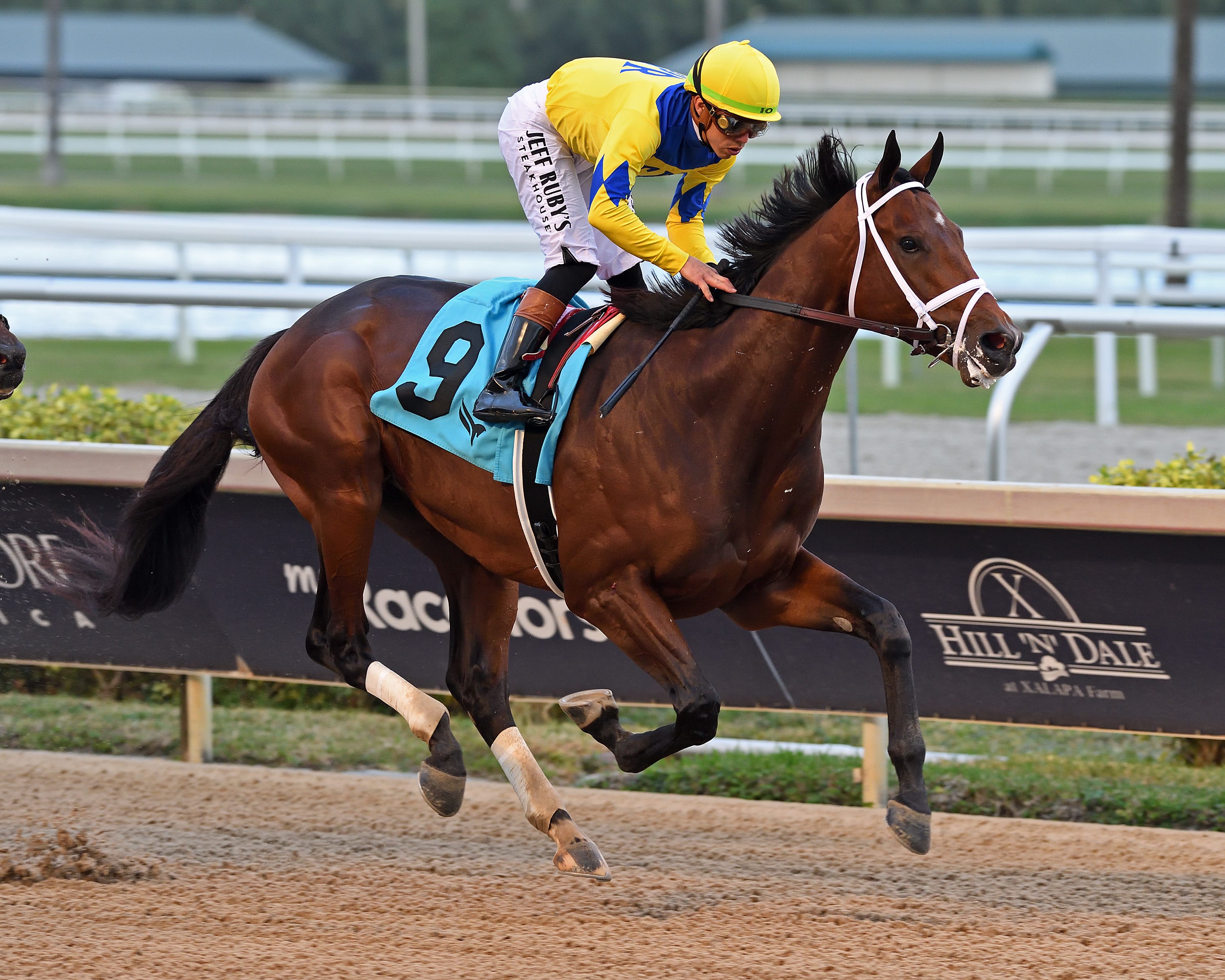 Pletcher has pair in Peter Pan