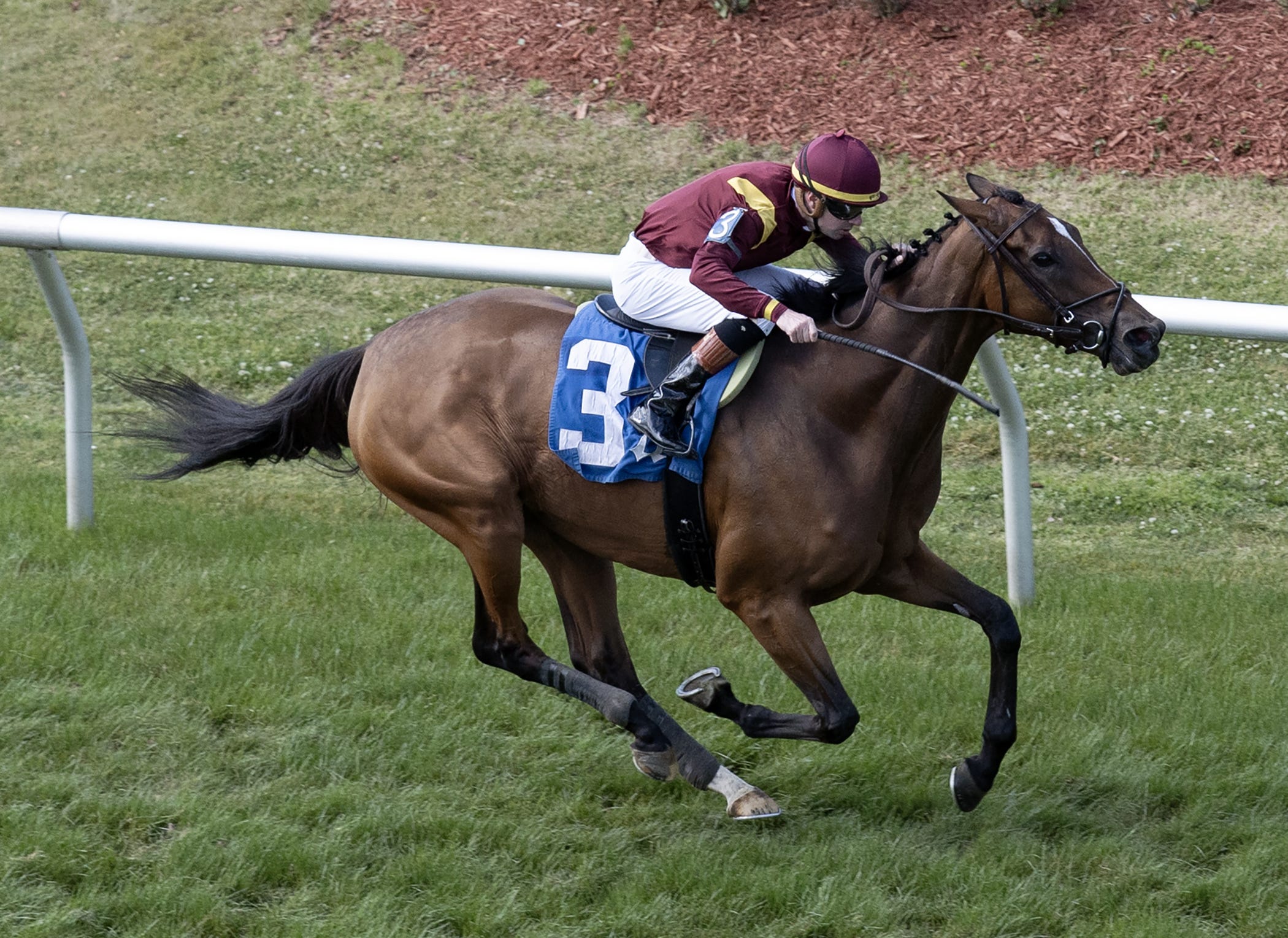 Way to Be Marie hopes to keep moving forward in Gallorette