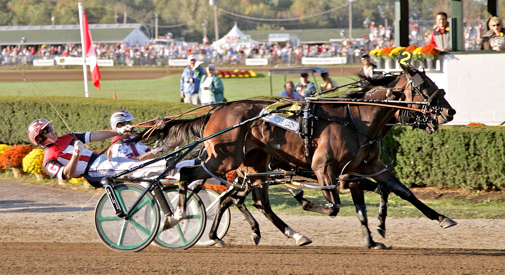 Harness: Driver Greg Grismore finding new passion in the sport