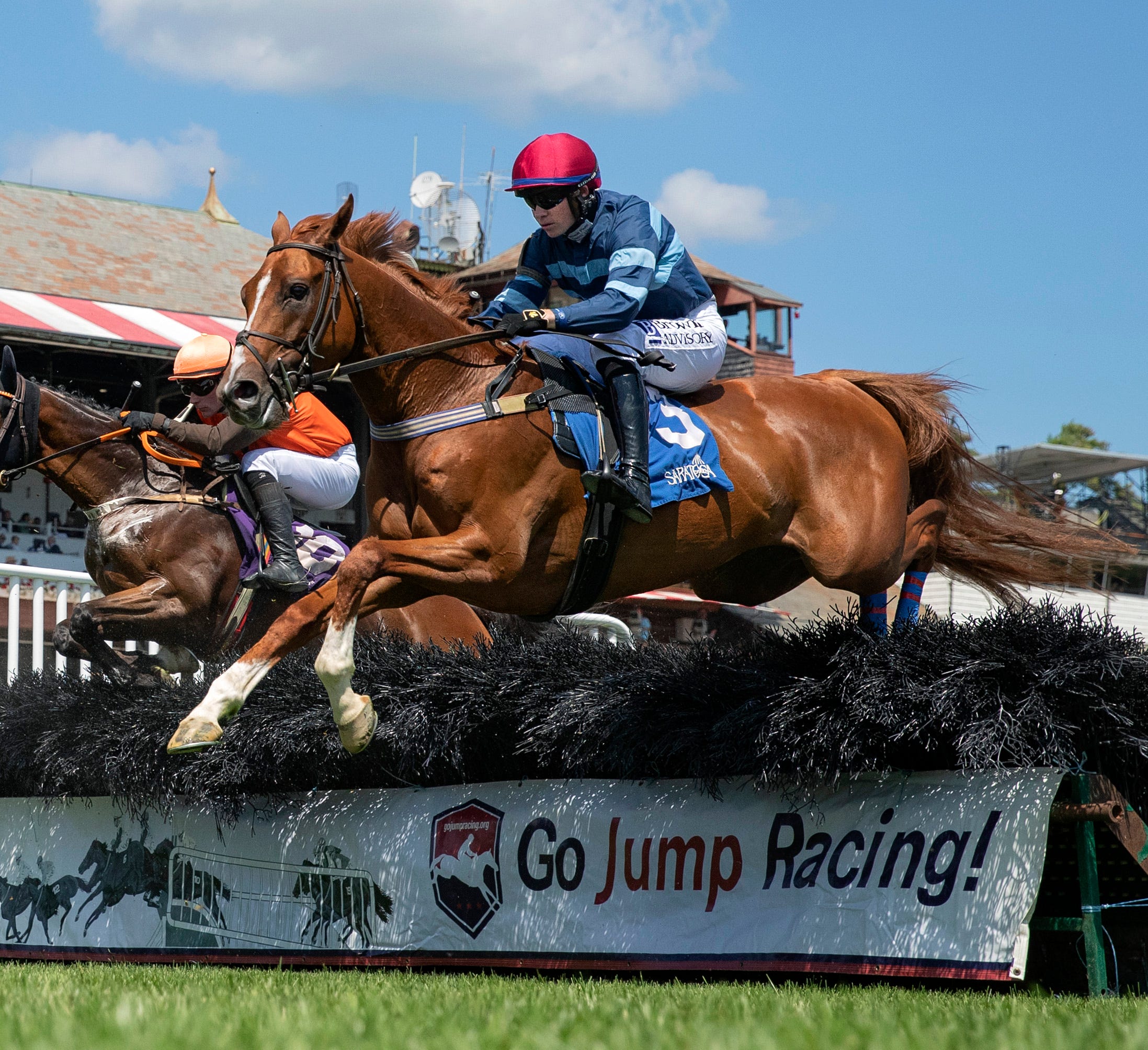 Carloun, Awakened look to regain form in Steinman Hurdle Handicap