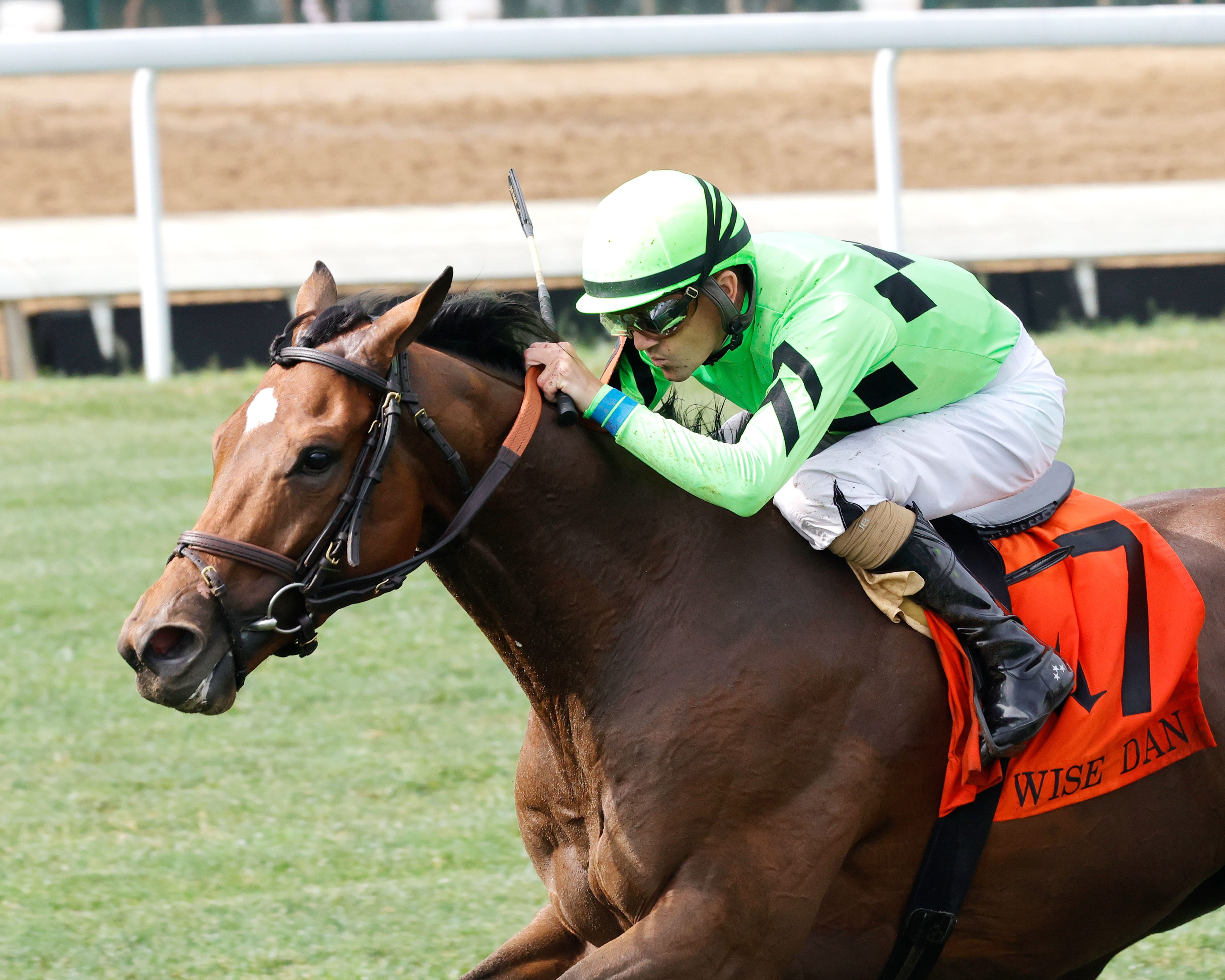 Brilliant Berti continues Churchill turf success with Wise Dan victory