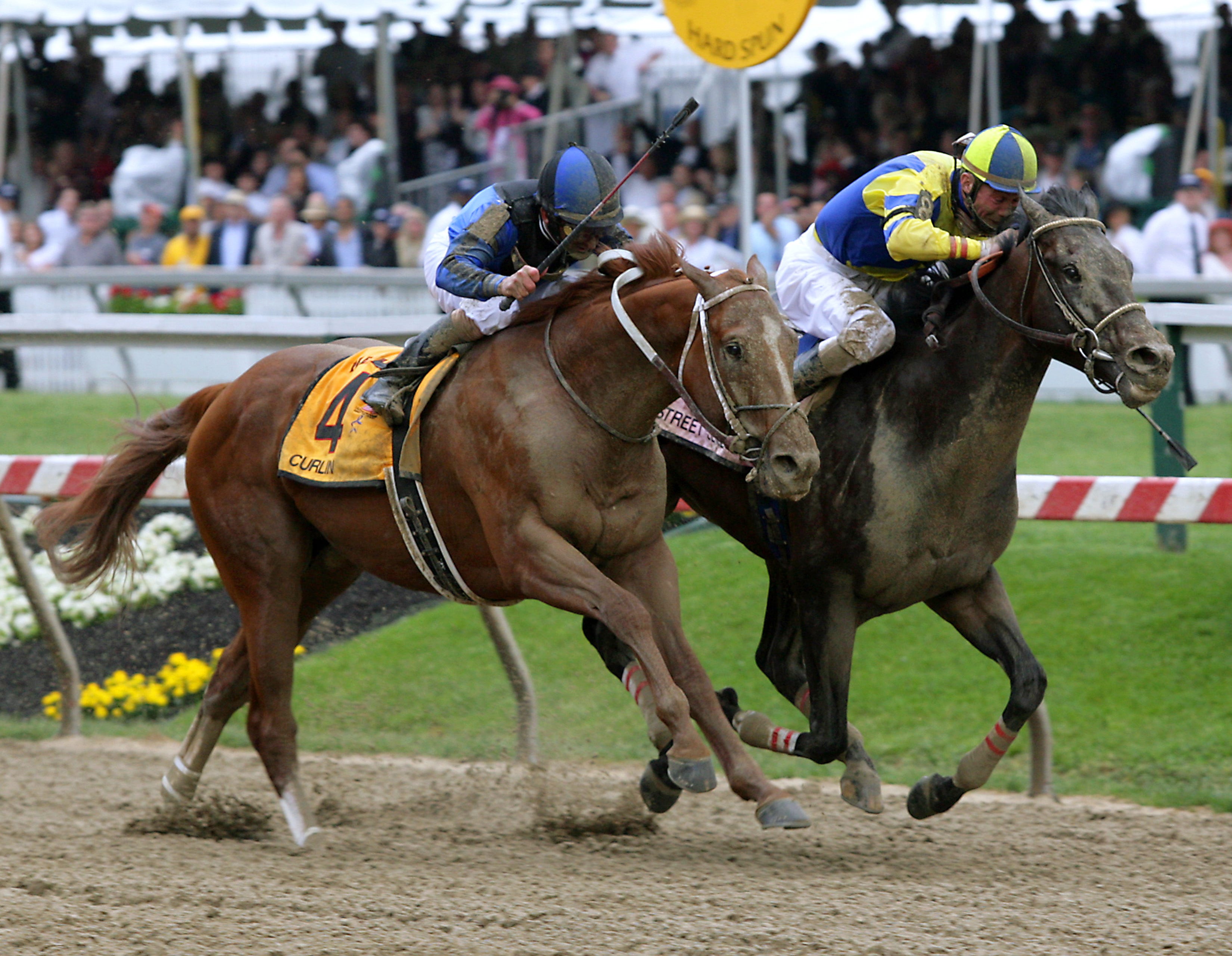 Belmont Stakes 2025: Journalism tough like his sire