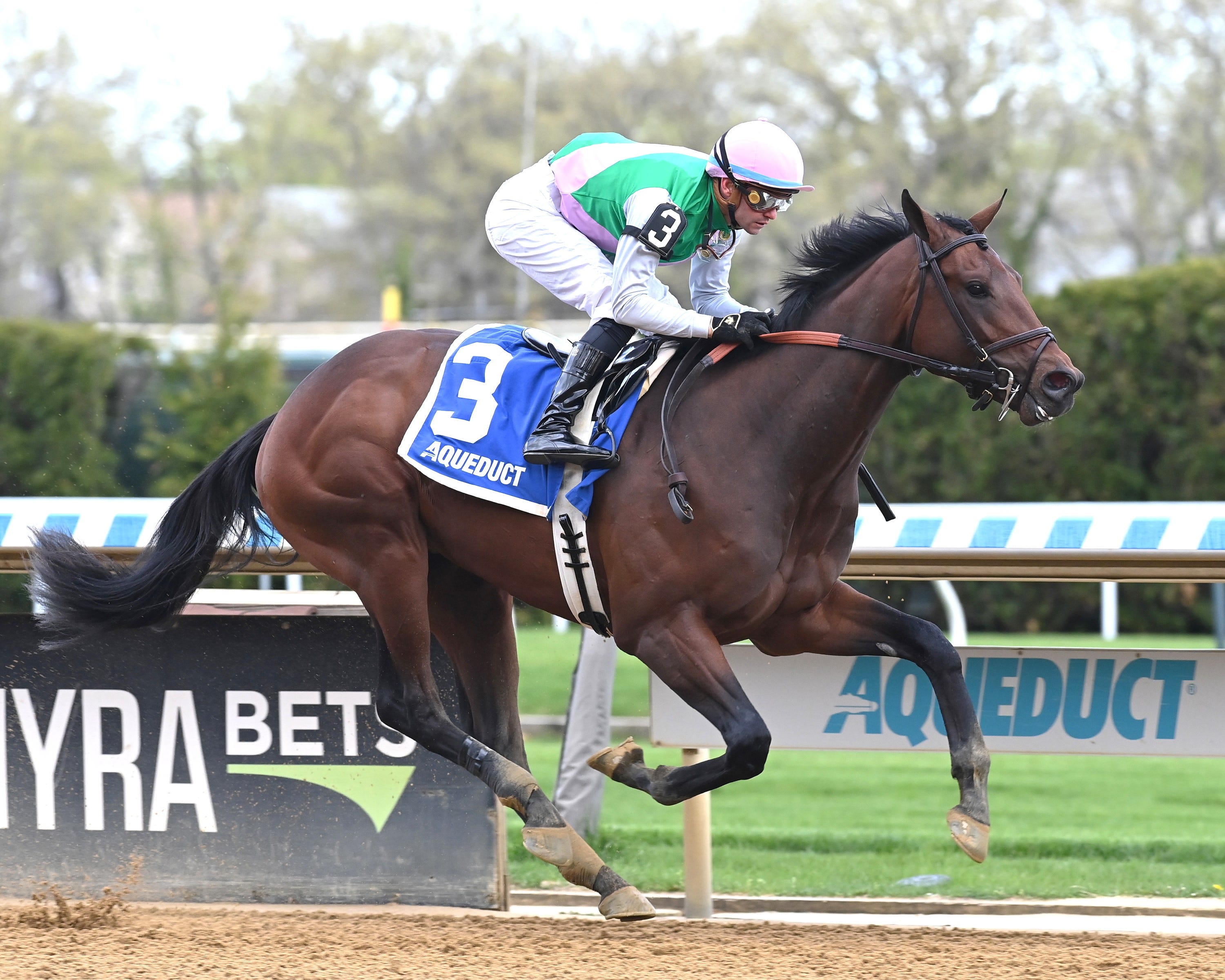 Garamond goes two turns in Pegasus with Haskell on horizon