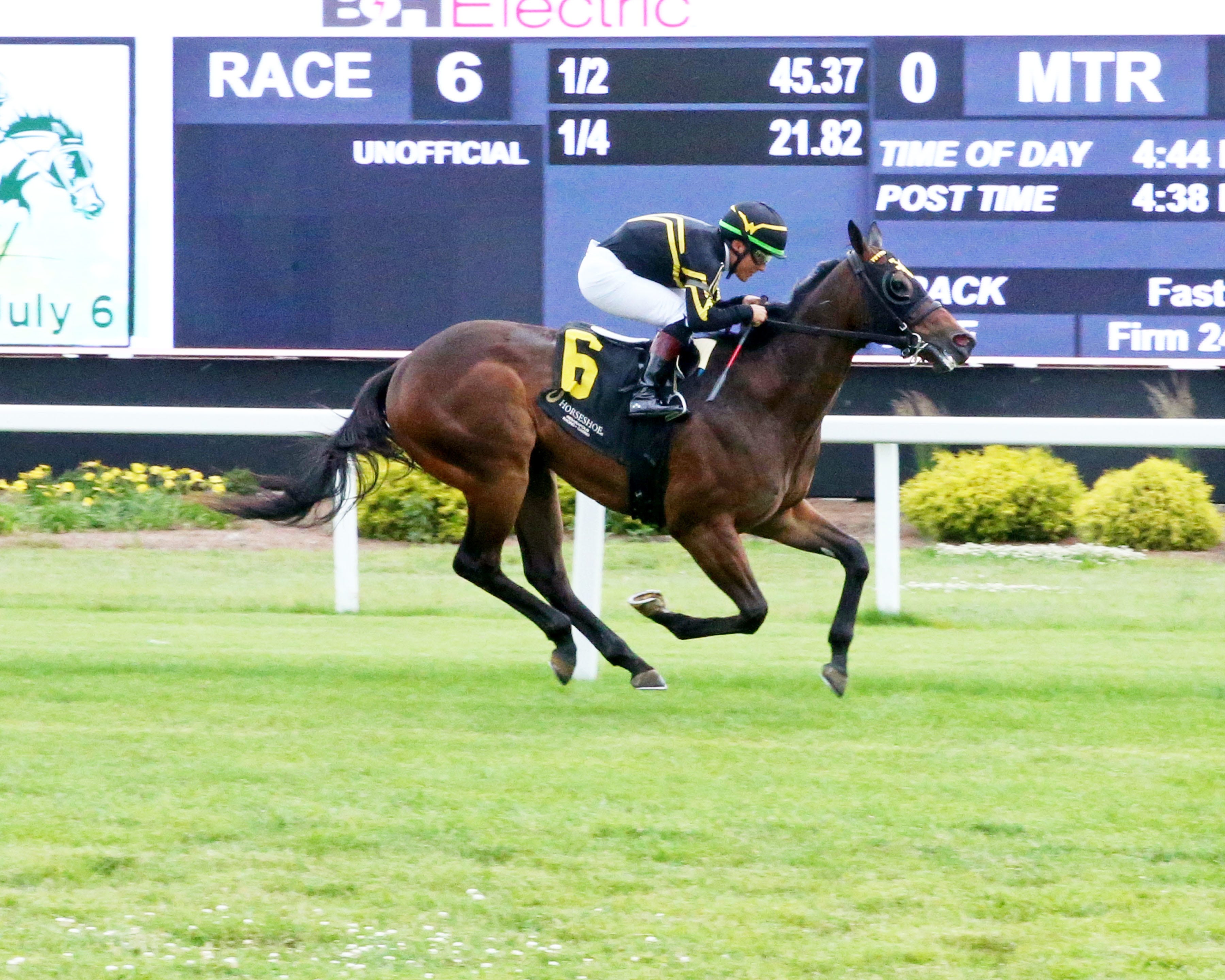 There's no horse like Homie for Rivelli, Ward