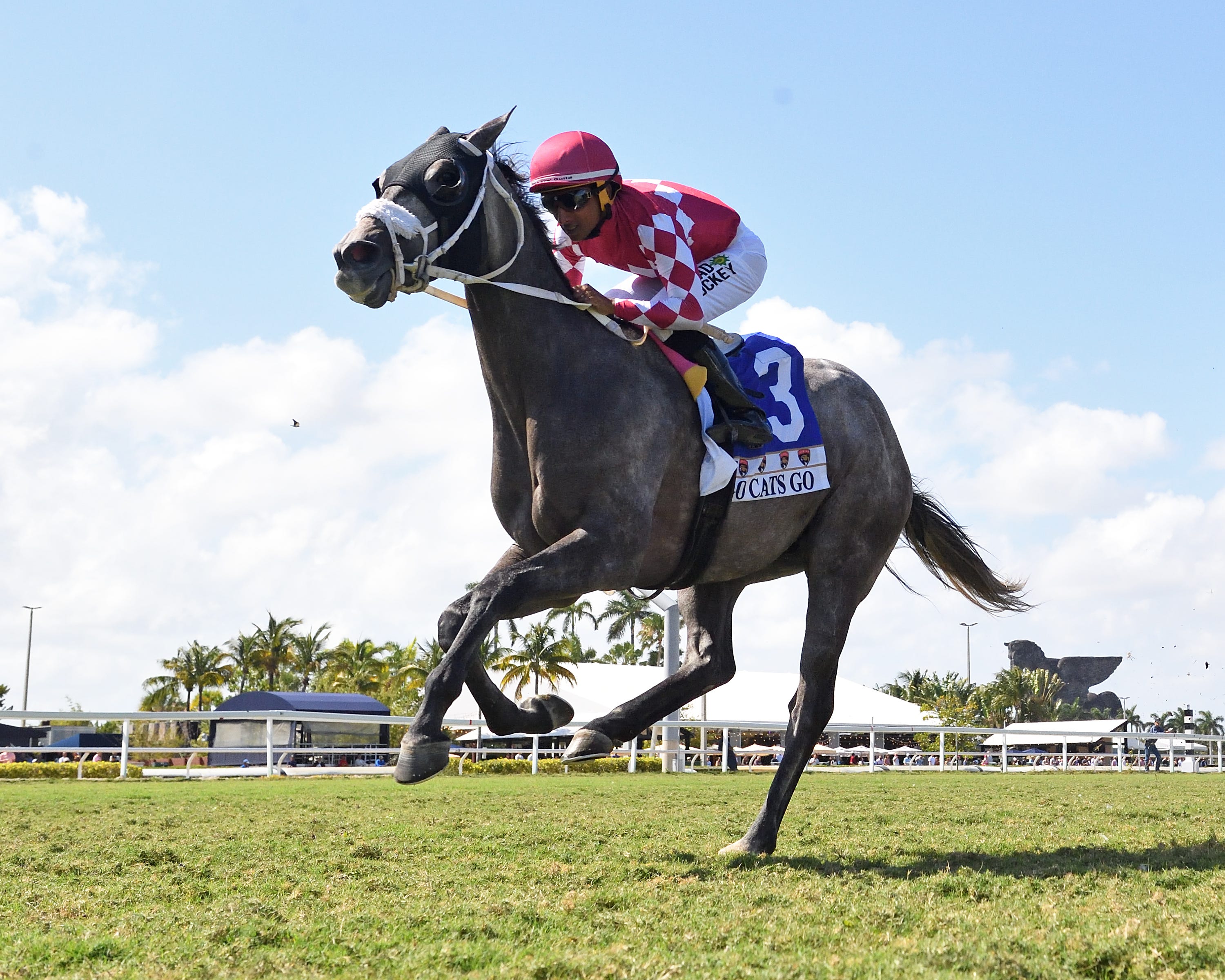 Get Serious field likely to get shaken up before post time